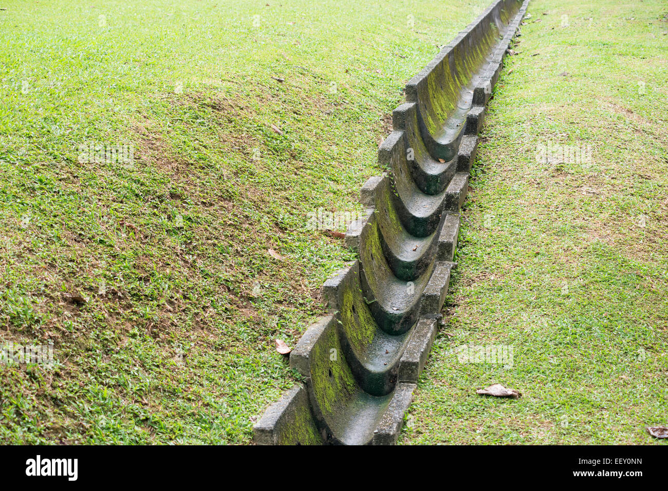 rainwater drainage channel on the green meadow in Singapore city Stock ...
