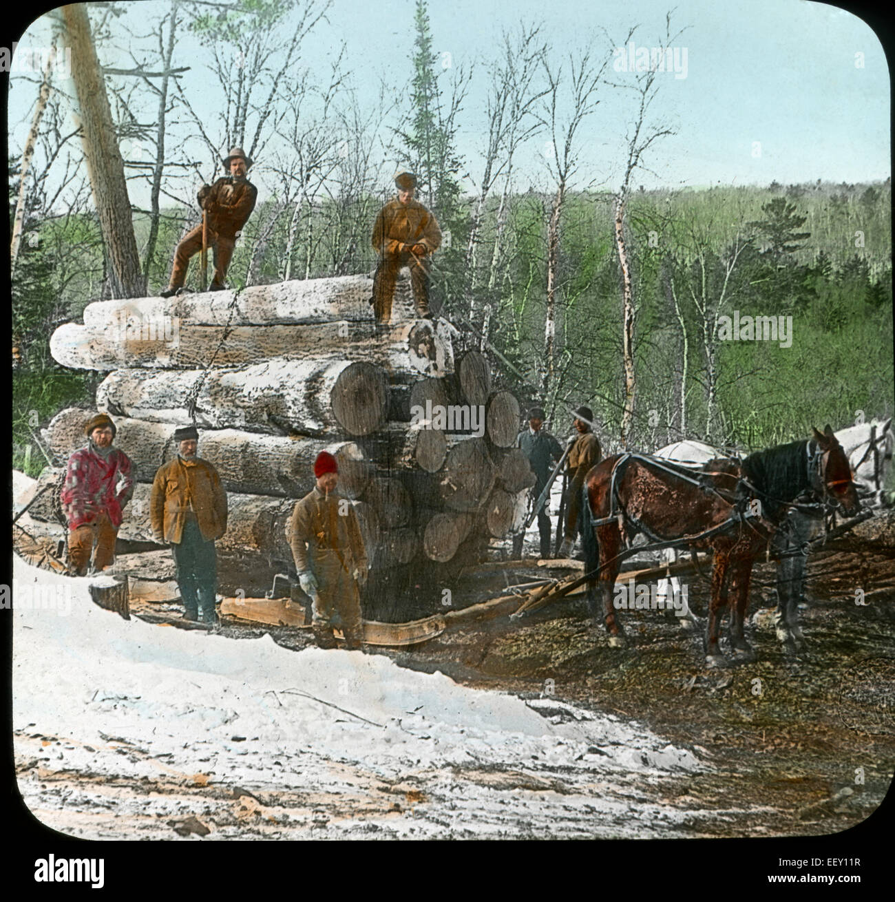 1910s logging industry hi-res stock photography and images - Alamy