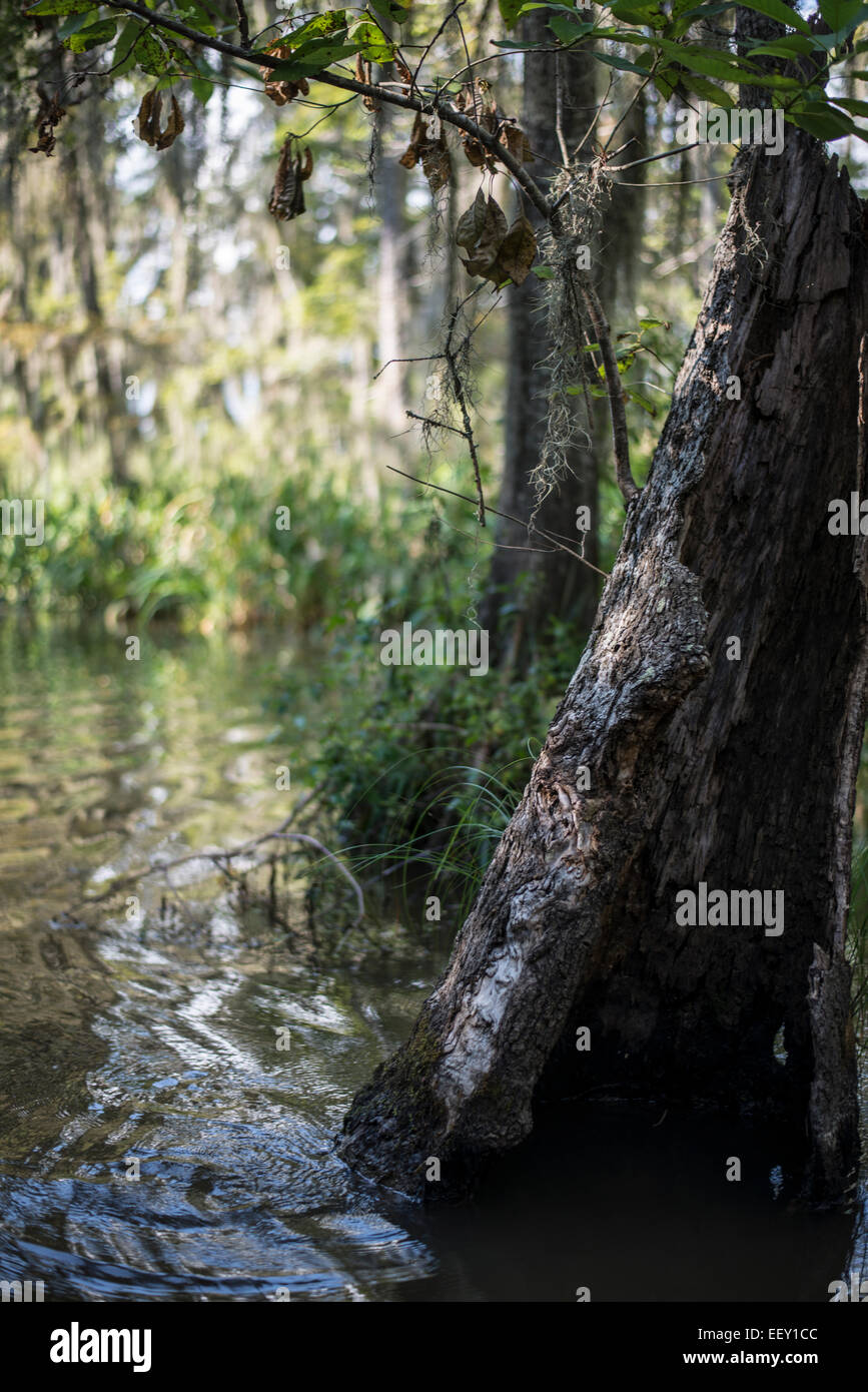 Mississippi river delta hi-res stock photography and images - Alamy