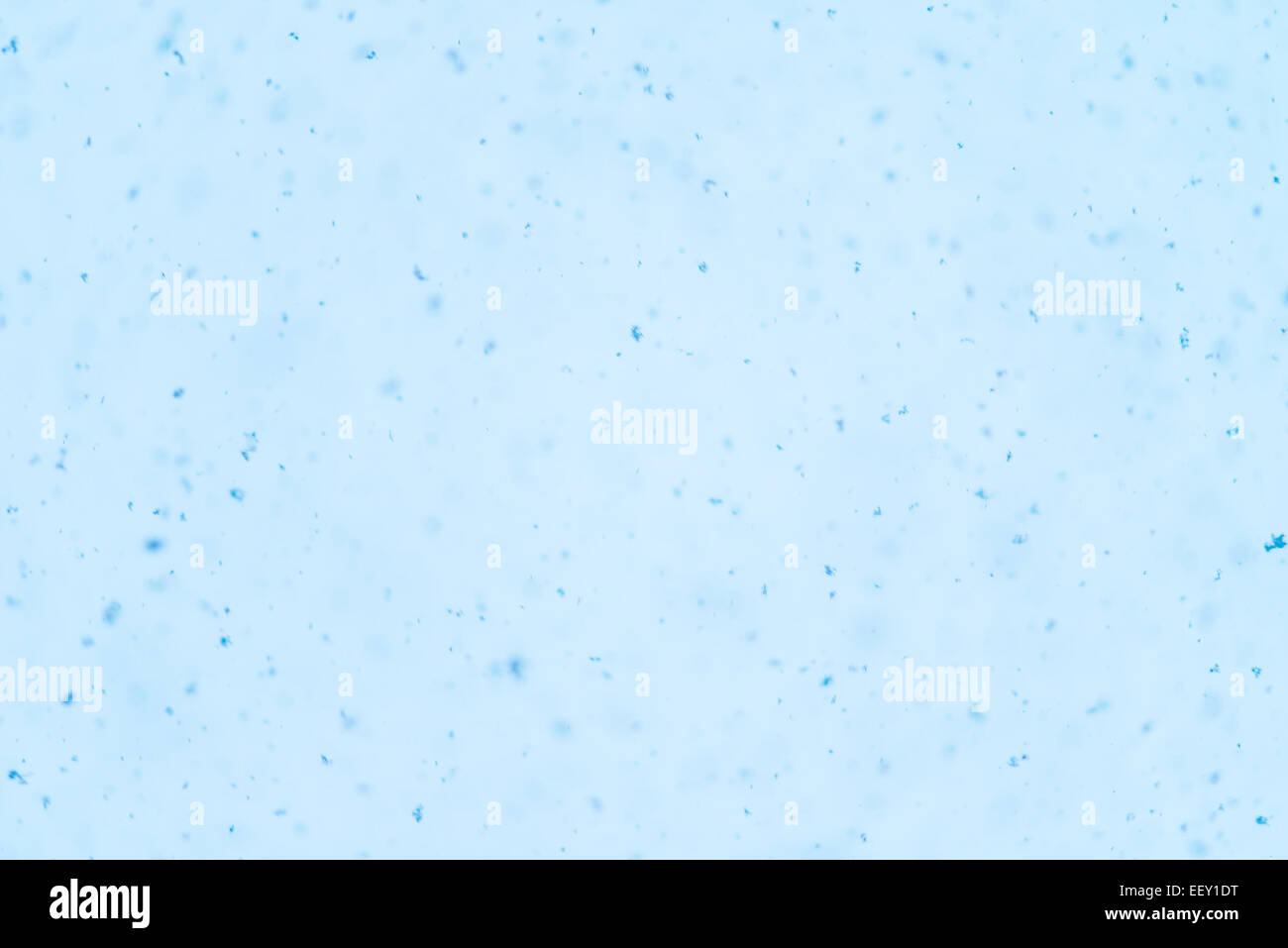 Snow falling from the sky hi-res stock photography and images - Alamy