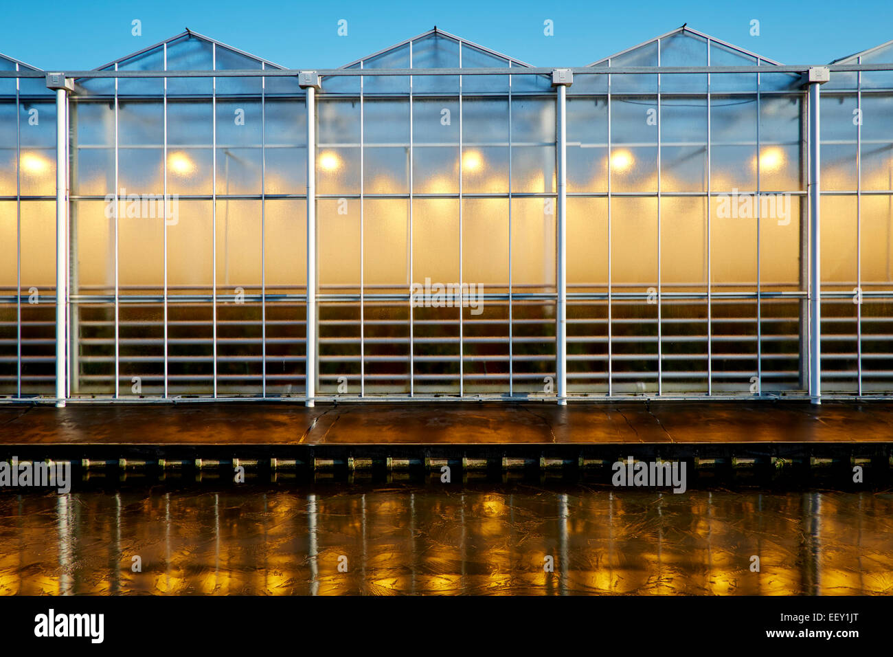Horticulture, greenhouses in Westland (a region of the Netherlands and ...