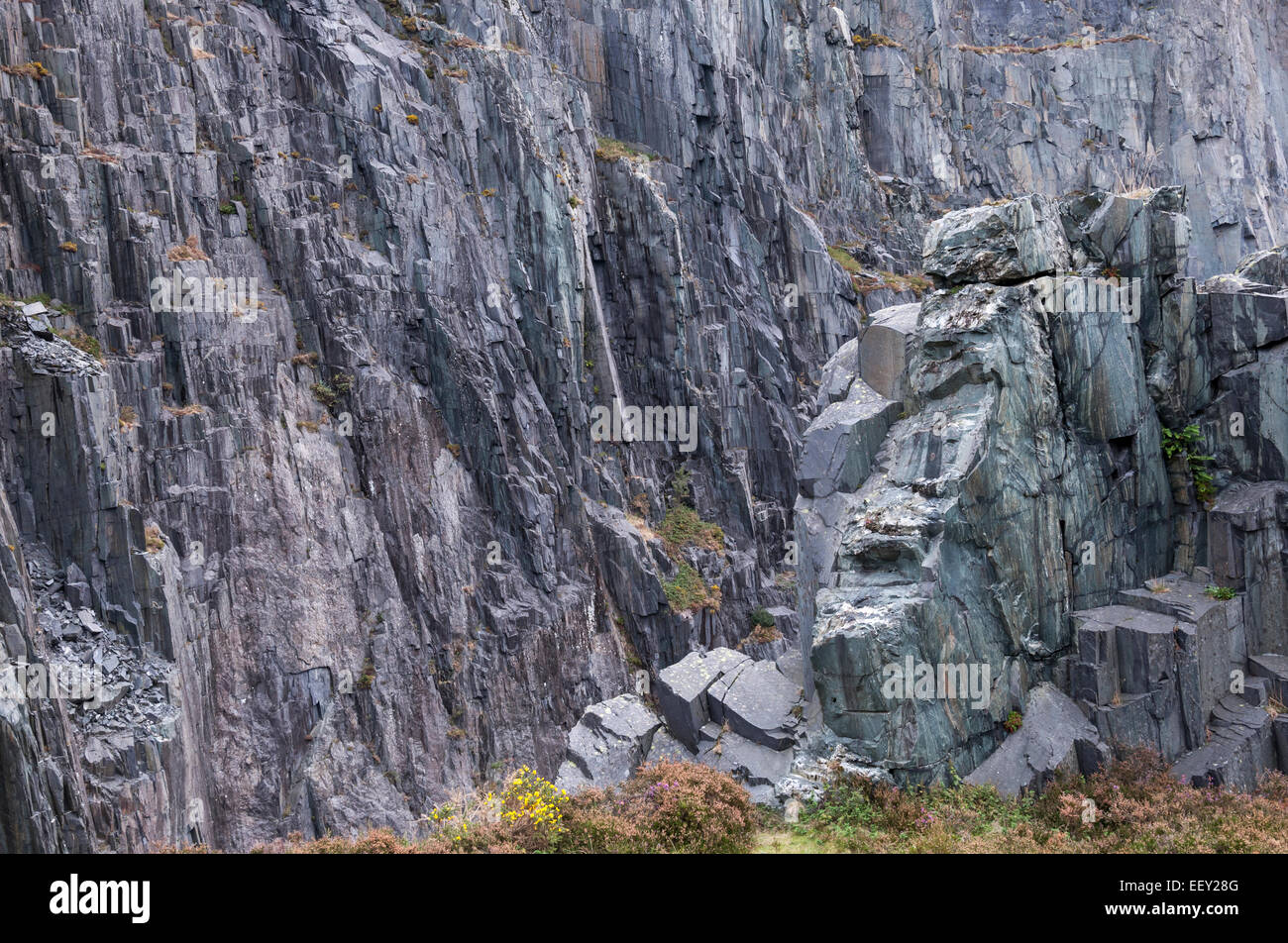 Dramatic cliff at Dinorwig slate quarry in Llanberis. Sheer mass of ...