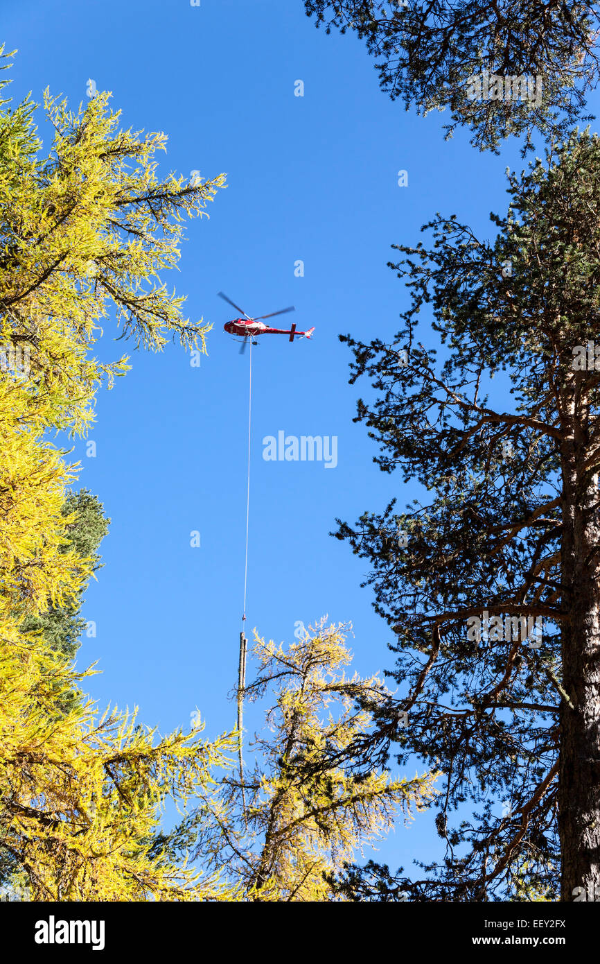 Helicopter transporting cut trees Stock Photo - Alamy