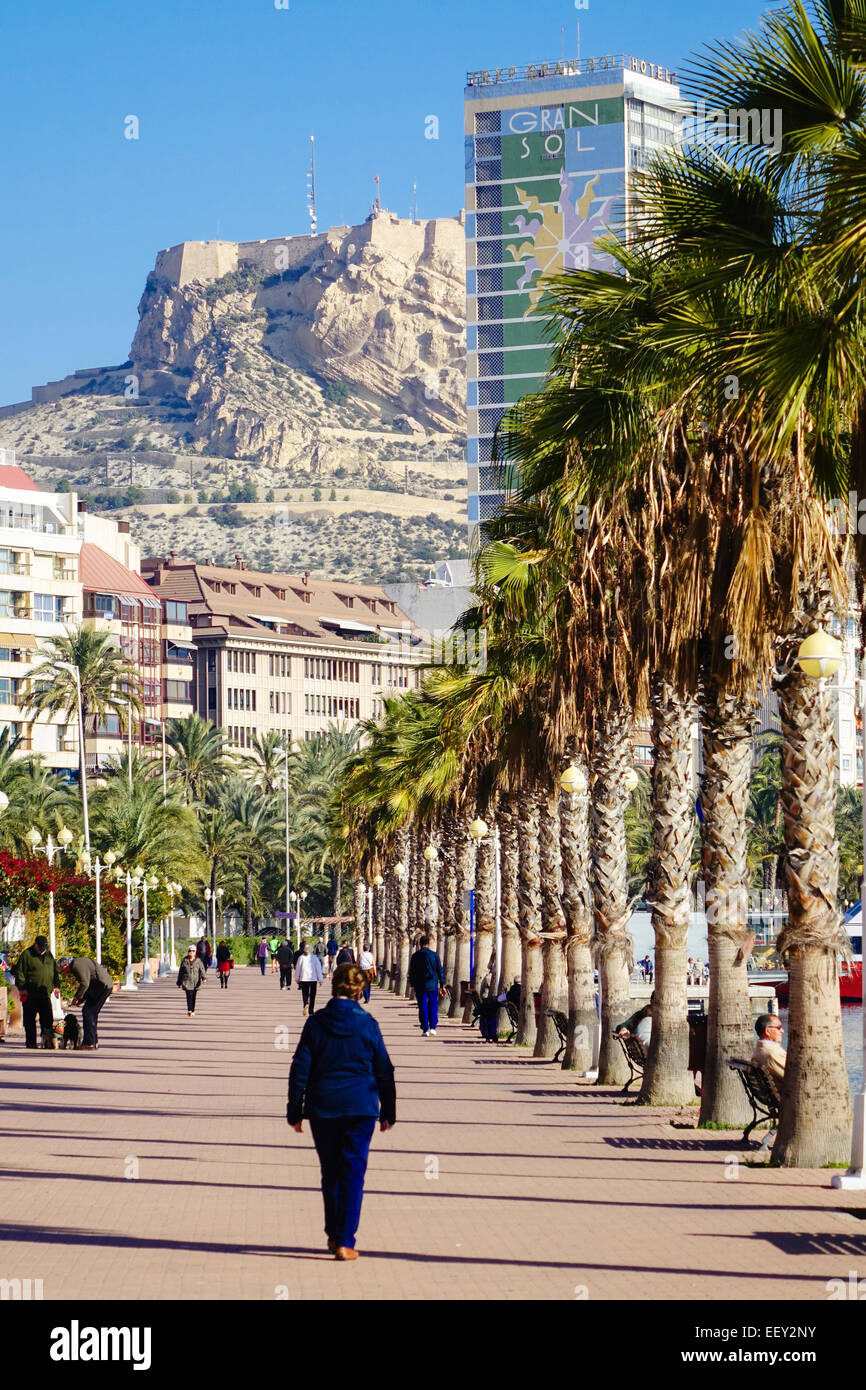 The promenade Explanada de España and the Port of Alicante with palm ...