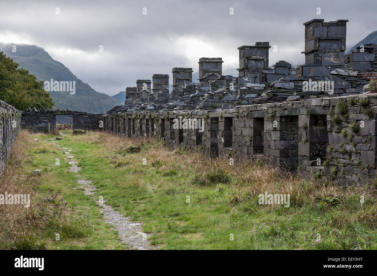Exploring an abandoned quarry High Resolution Stock Photography and ...