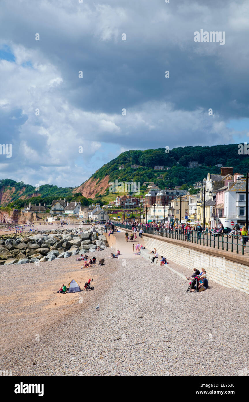 Devon cliff england hi-res stock photography and images - Alamy