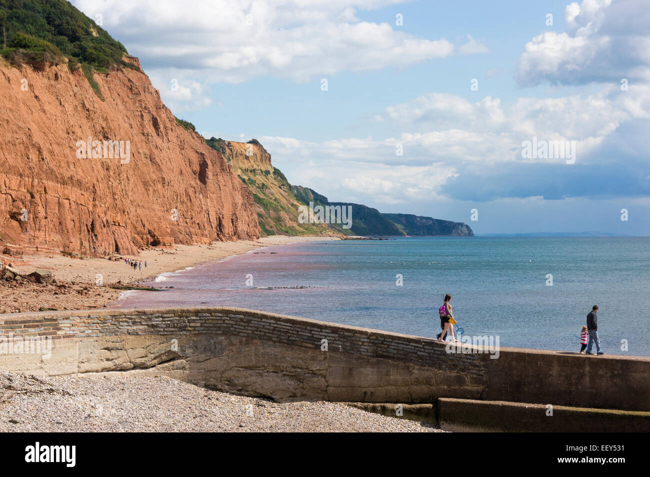 Jurassic coast devon hi-res stock photography and images - Alamy