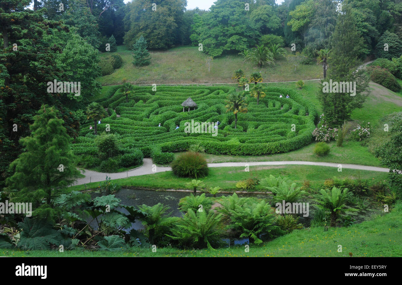 September 2014 The maze at the the National Trust's Glendurgan Gardens ...