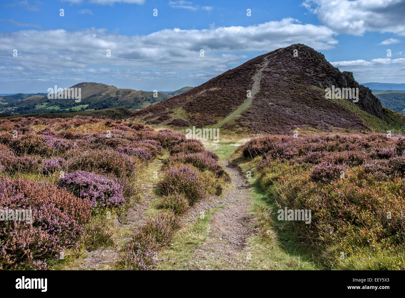 Long mynd cycling hi-res stock photography and images - Alamy