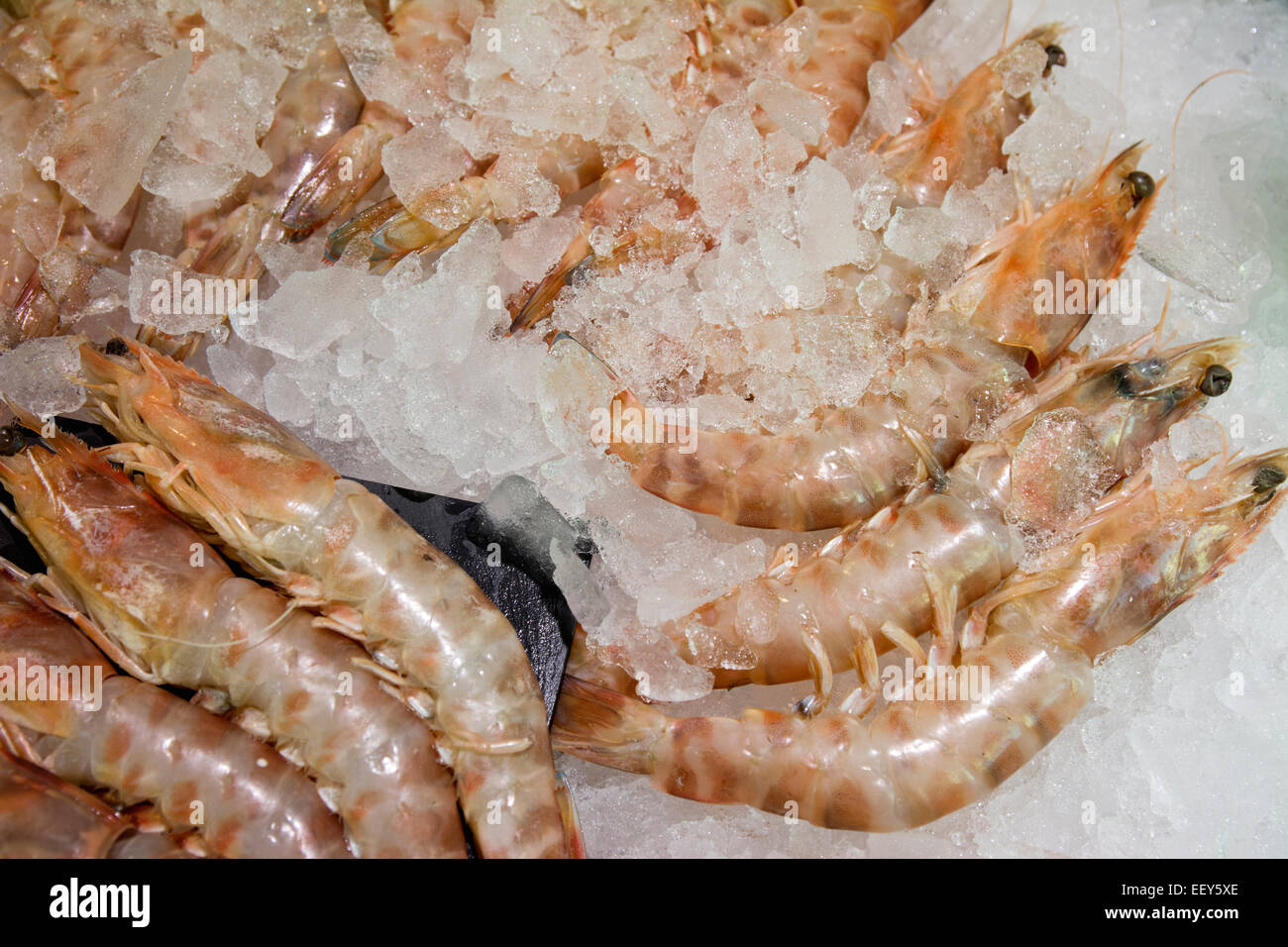 Tray of fresh seafood hi-res stock photography and images - Alamy