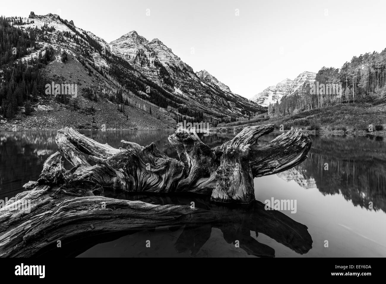 Maroon yellow Black and White Stock Photos & Images - Alamy