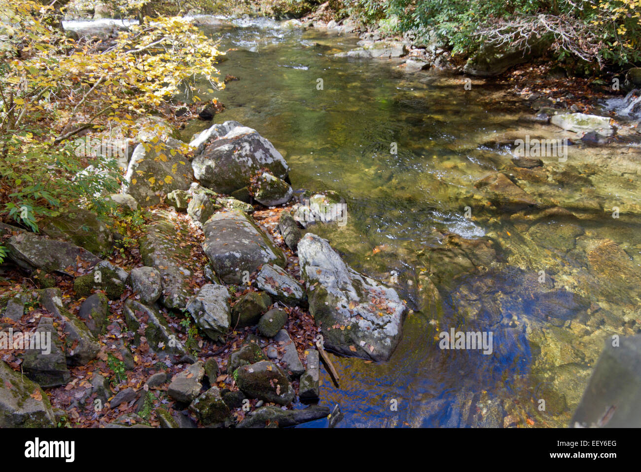 Transparent river hi-res stock photography and images - Alamy