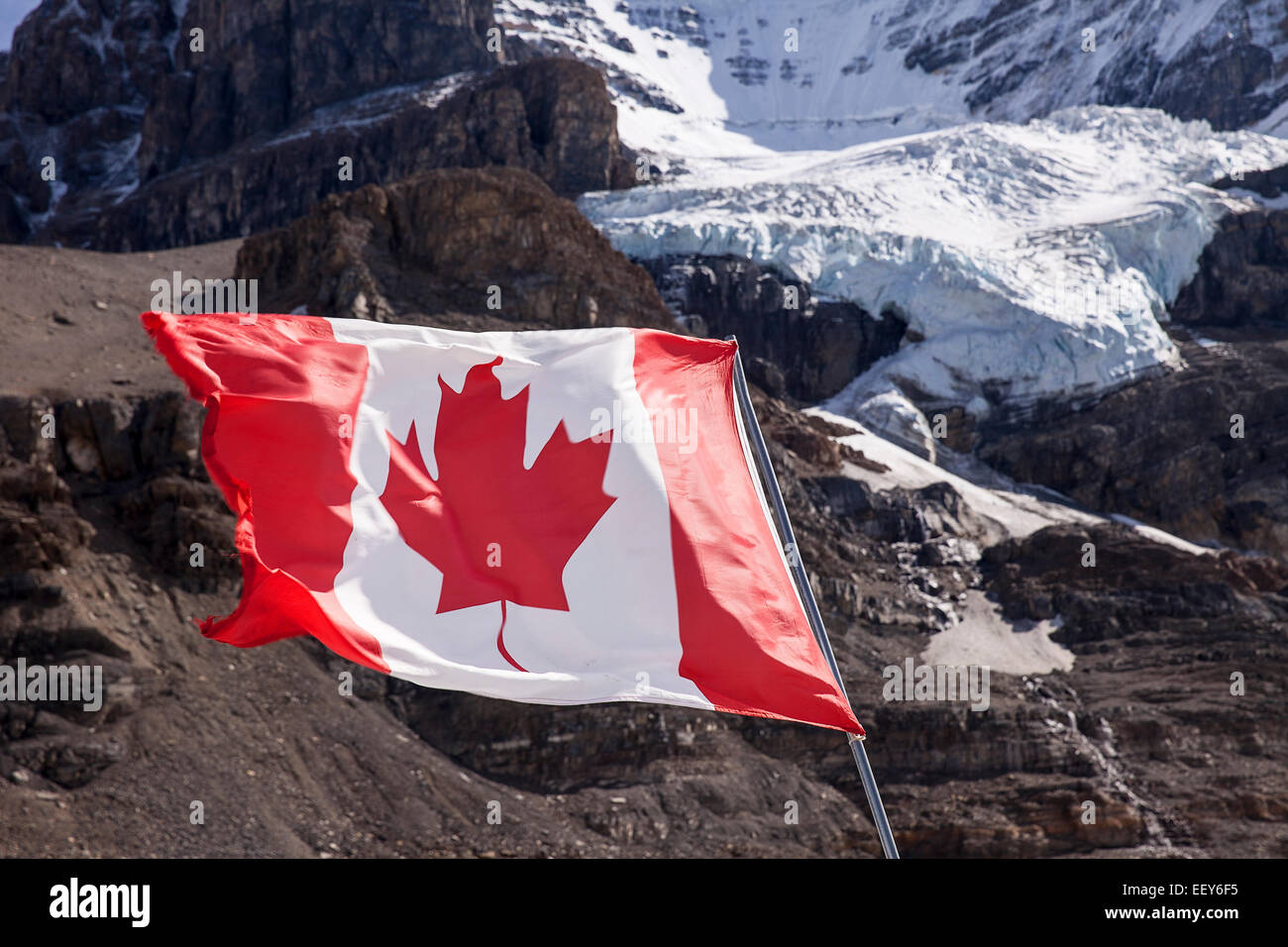Image of canadian flag hi-res stock photography and images - Alamy