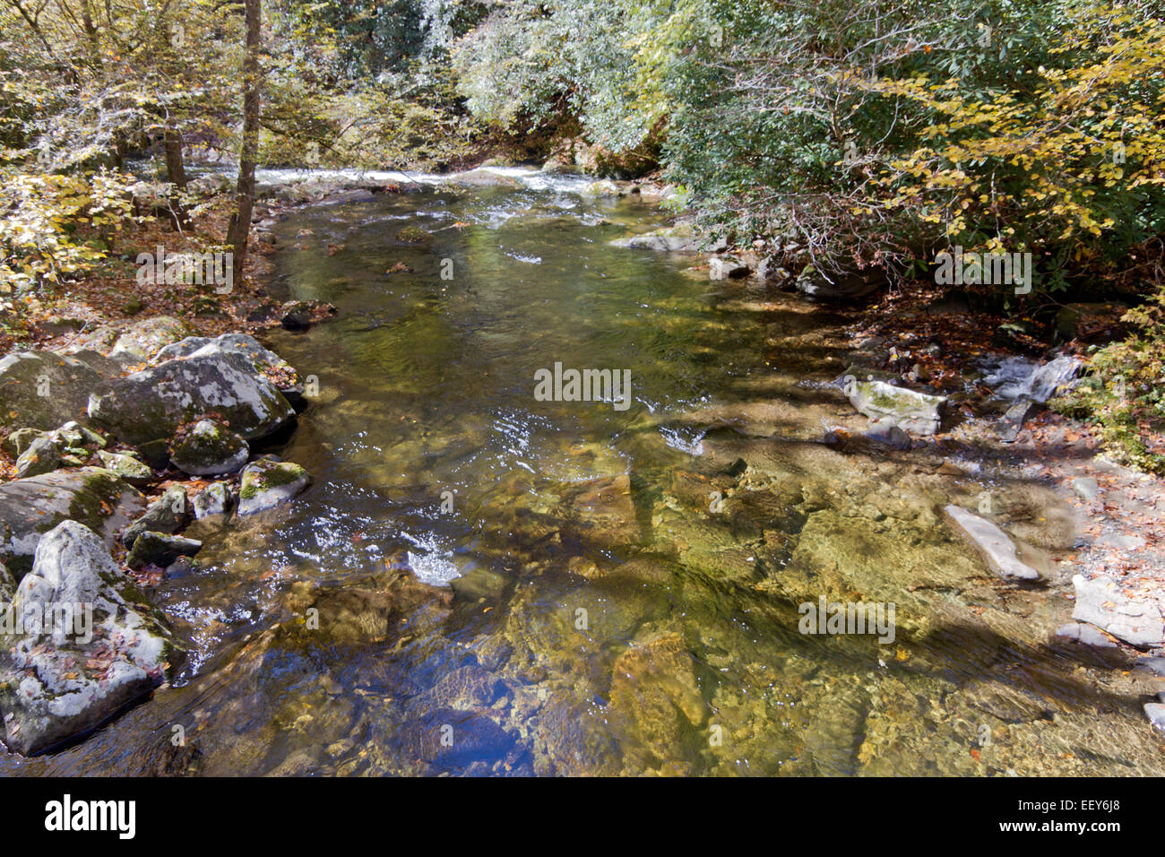 Transparent river hi-res stock photography and images - Alamy