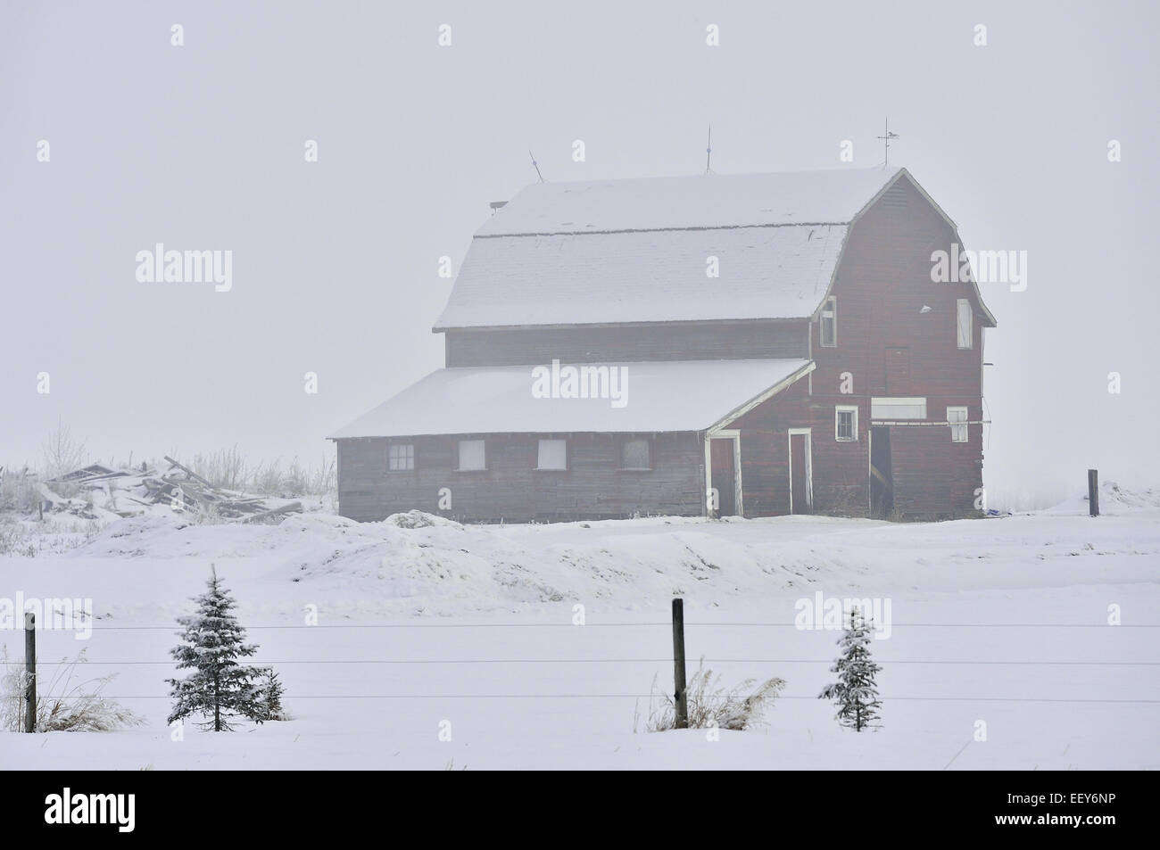 A landscape of a barn on an abandoned piece of farm land in rural ...