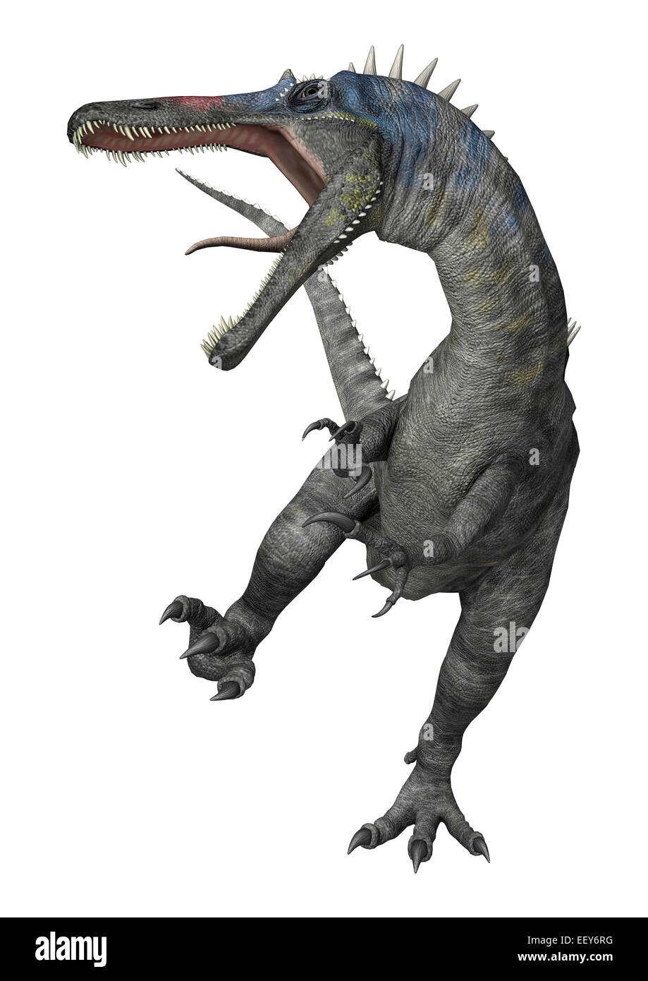 3D digital render of a dinosaur Suchomimus or Suchomimus tenerensis ...