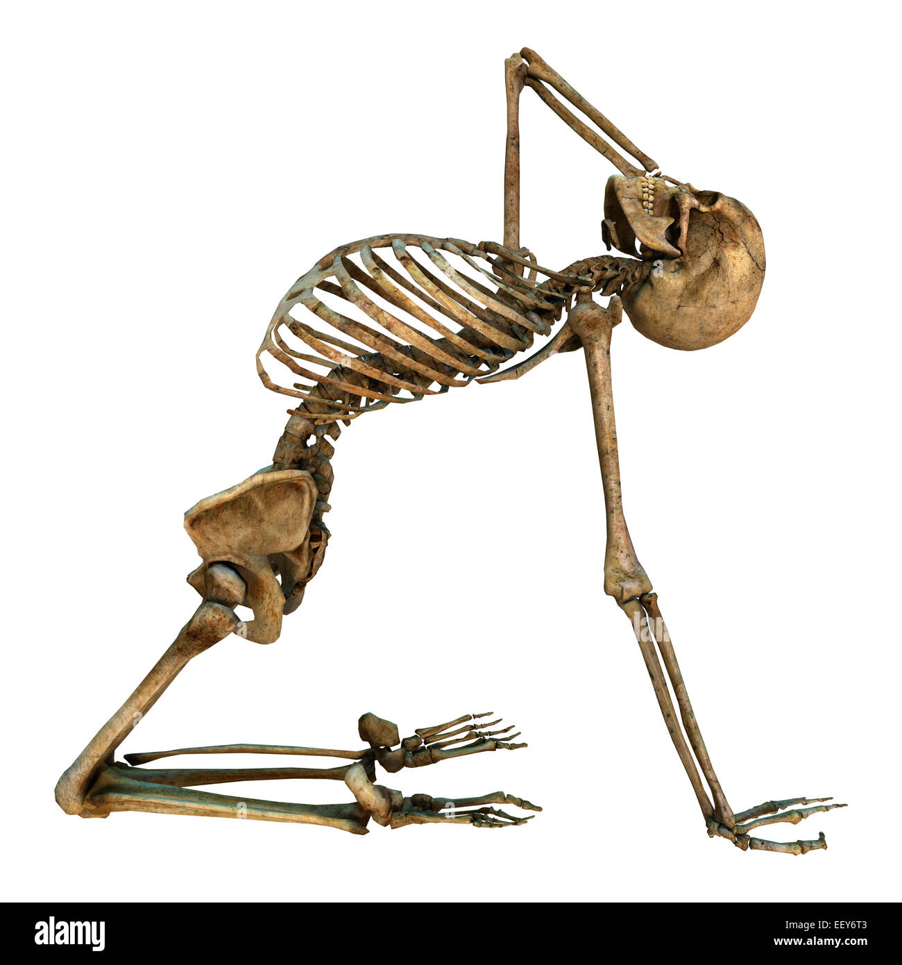 Skeleton Doing Sport