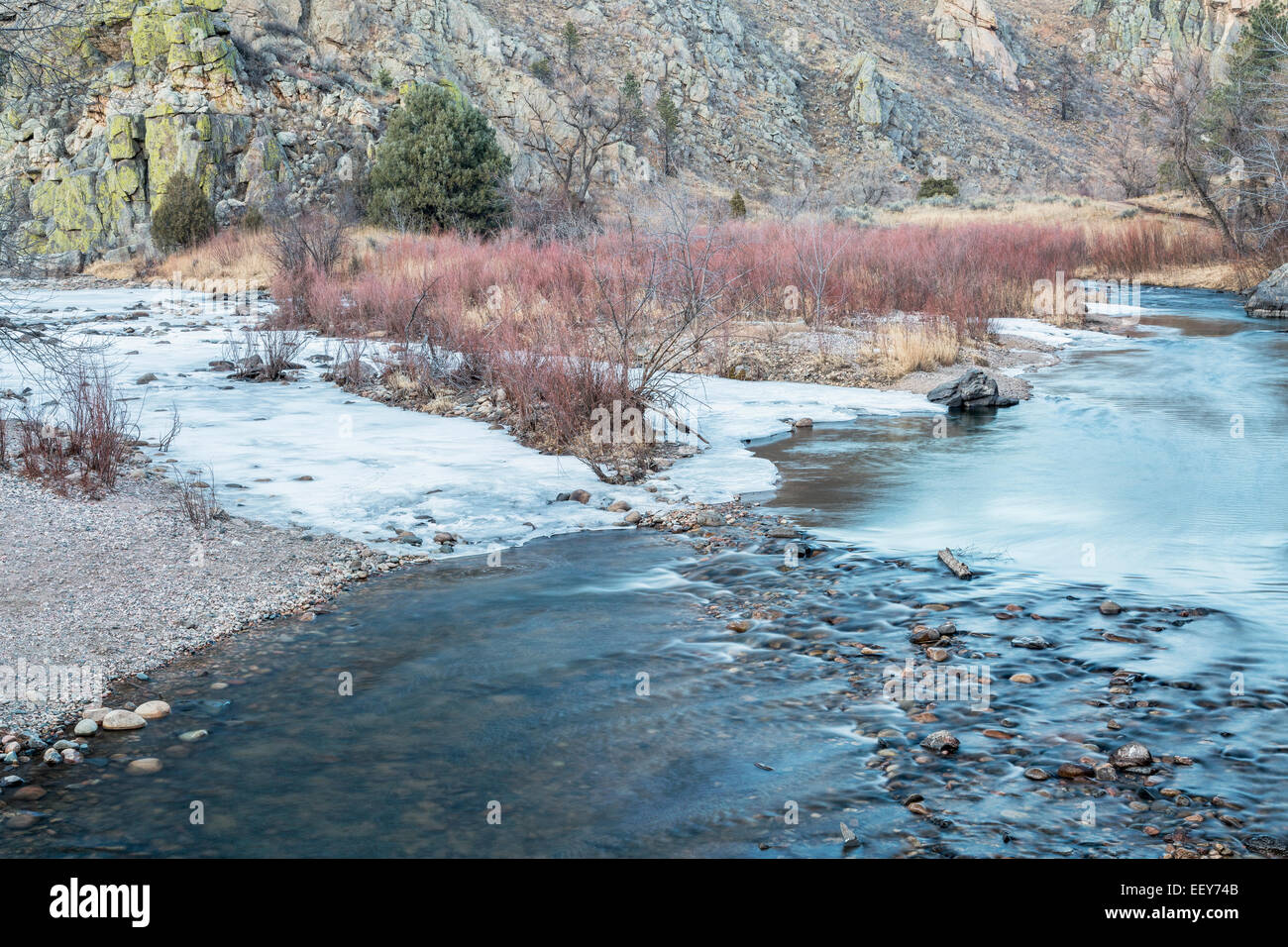Cache la Poudre River in winter scenery at confluence with its North ...