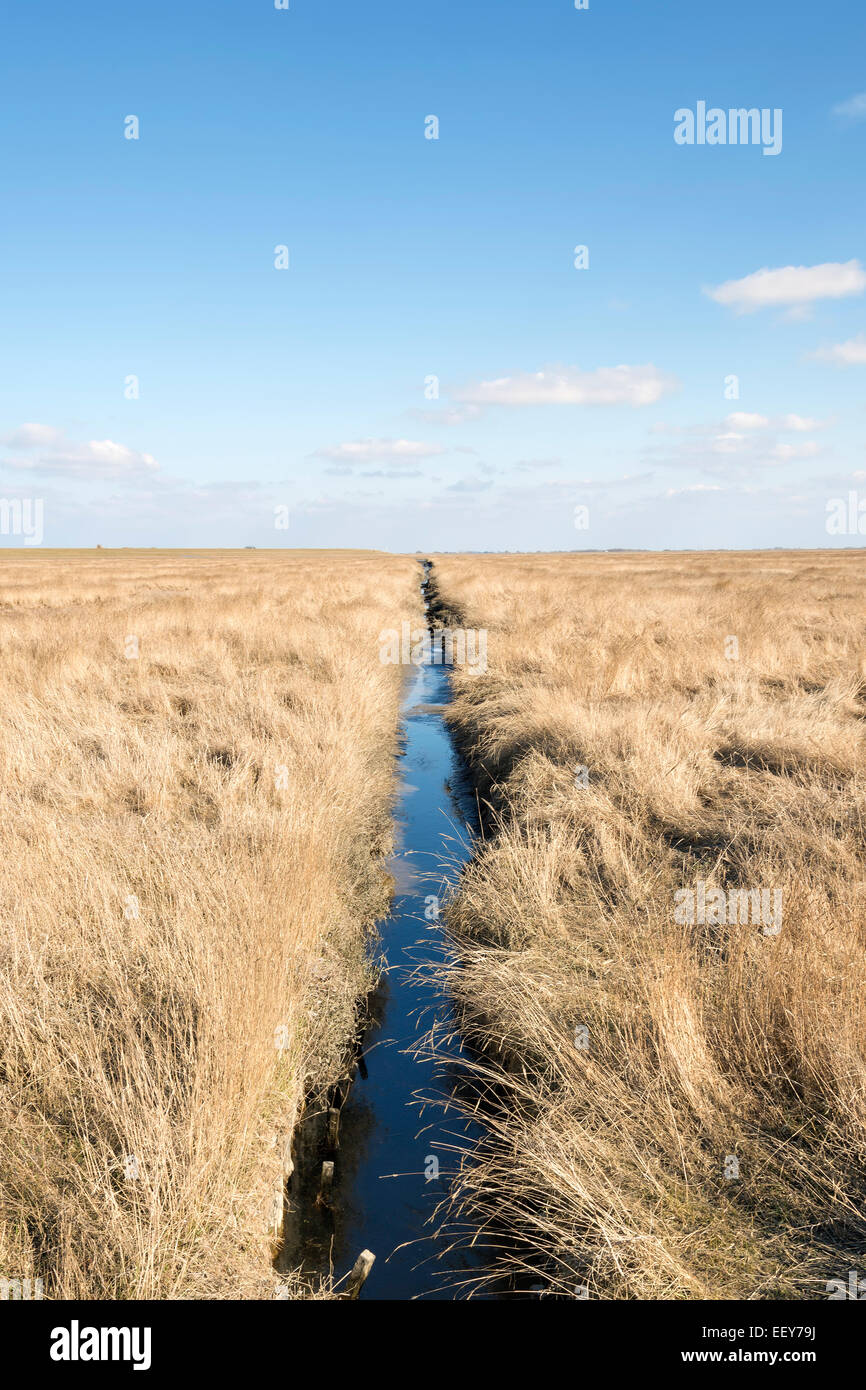 Sand ditch hi-res stock photography and images - Alamy