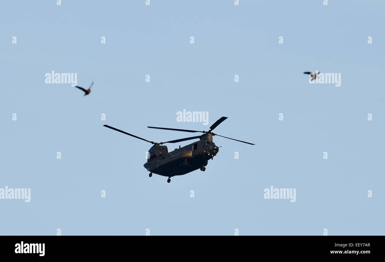 Brighton UK - A Chinook helicopter spotted flying over Sheepcote Valley ...