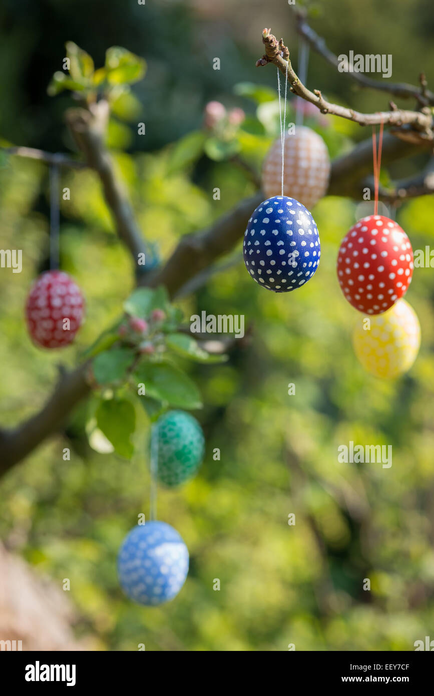 Hamburg, Germany, self-painted Easter eggs on a tree Stock Photo - Alamy