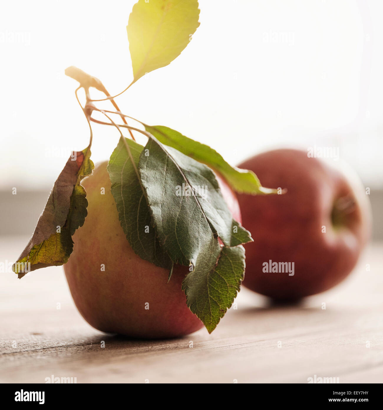 Close up shot apples hi-res stock photography and images - Alamy