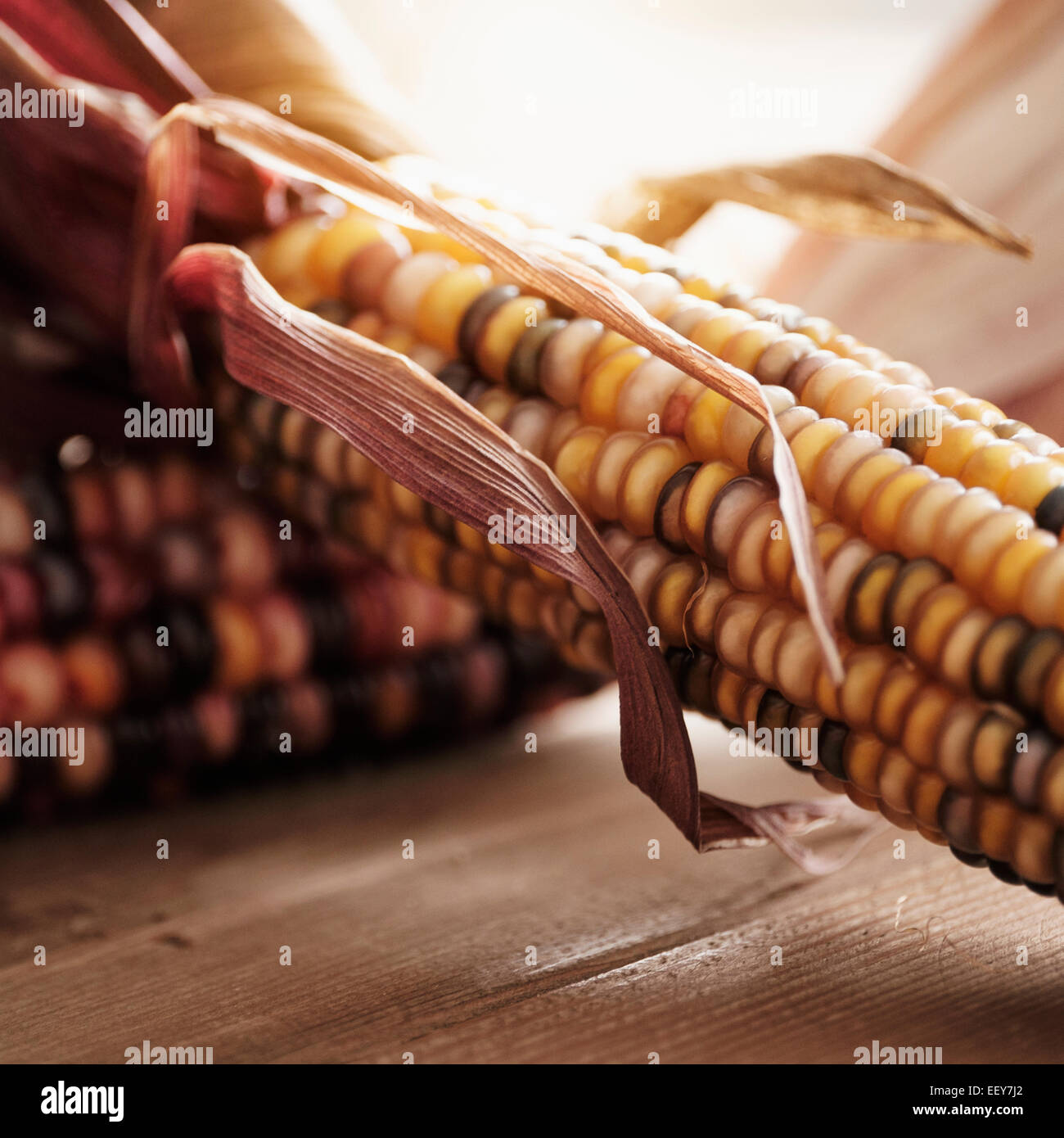 Indian motive hi-res stock photography and images - Alamy