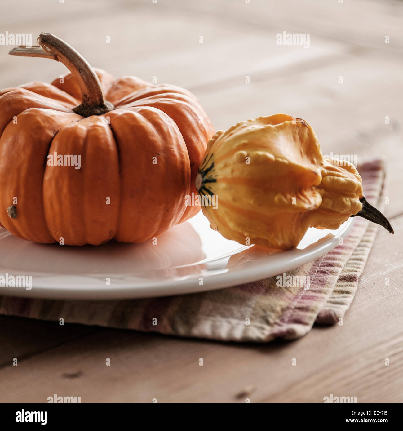Studio shot of gourds Stock Photo - Alamy