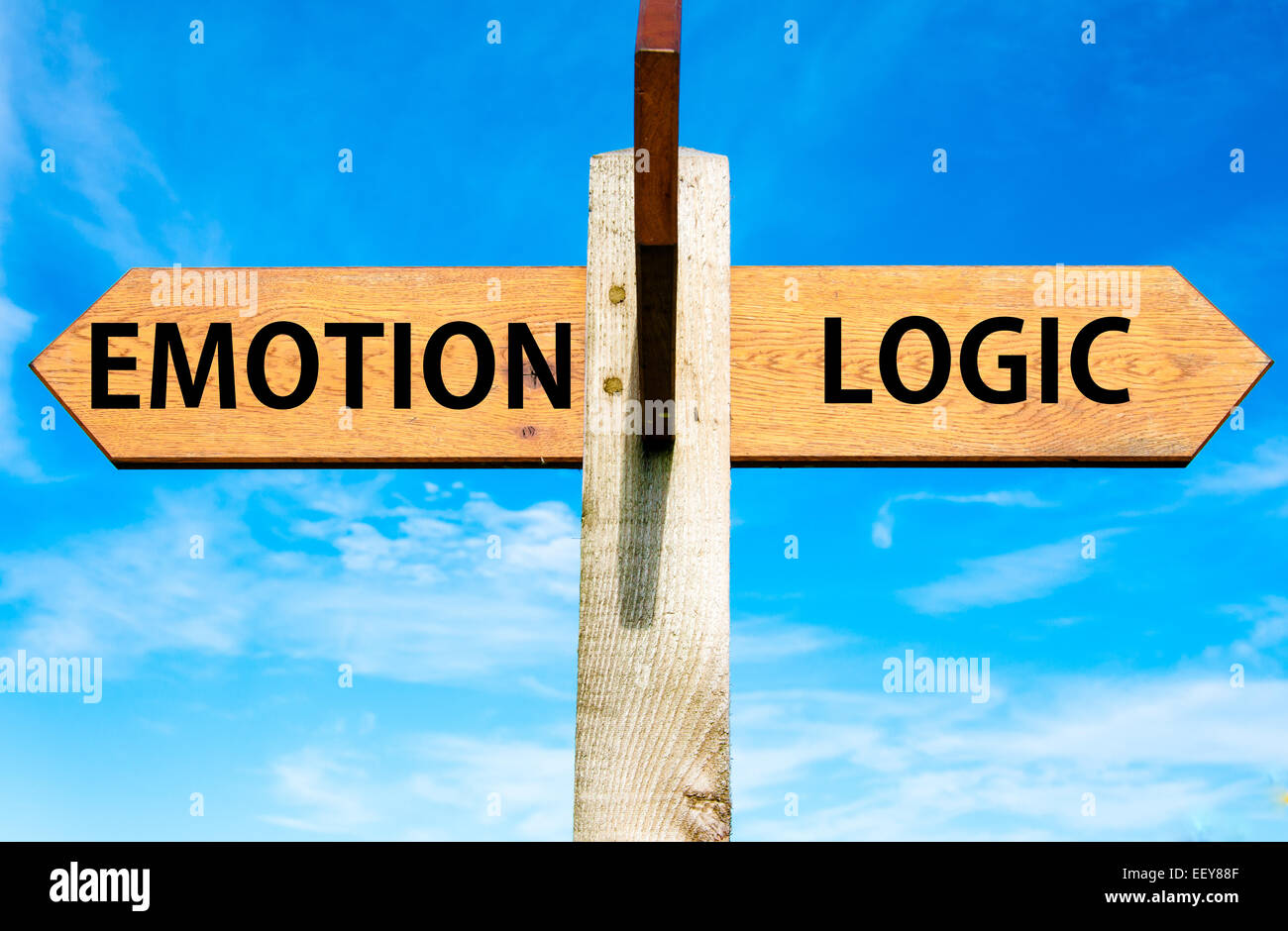 Emotion versus logic hi-res stock photography and images - Alamy Emotion versus logic hi-res stock photography and images - Alamy