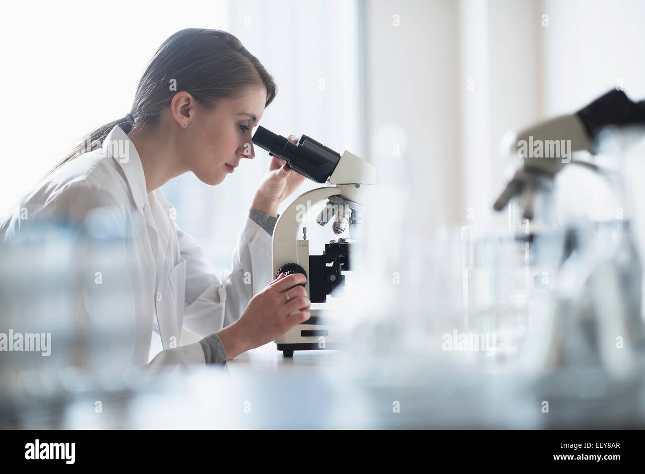 Microscope sample hi-res stock photography and images - Alamy