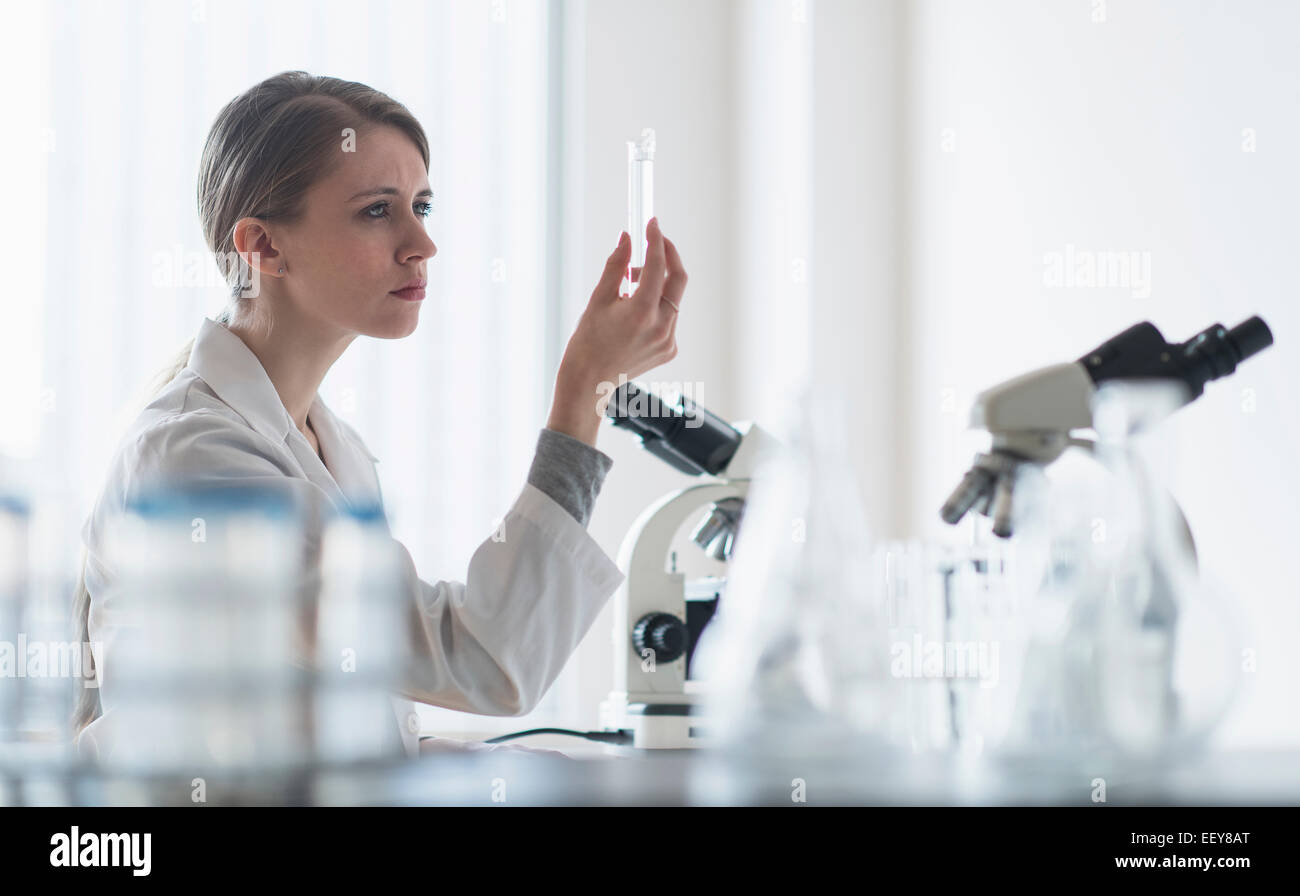 Female lab technician examining liquid in test tube Stock Photo - Alamy