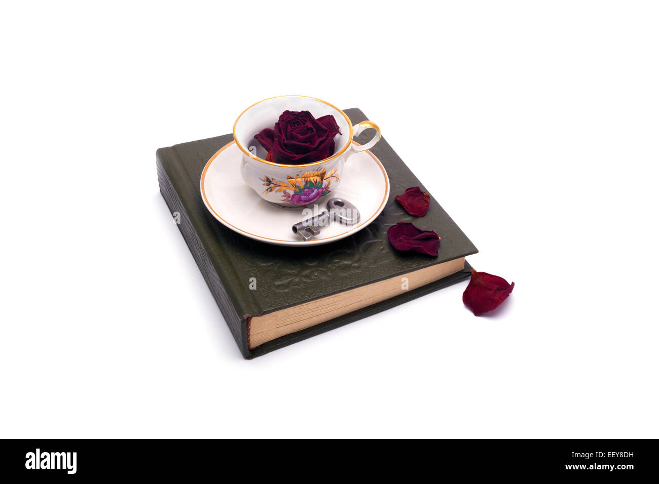 Old petals Cut Out Stock Images & Pictures - Alamy