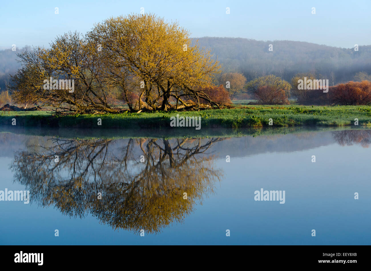 Reflection wilderness hi-res stock photography and images - Alamy