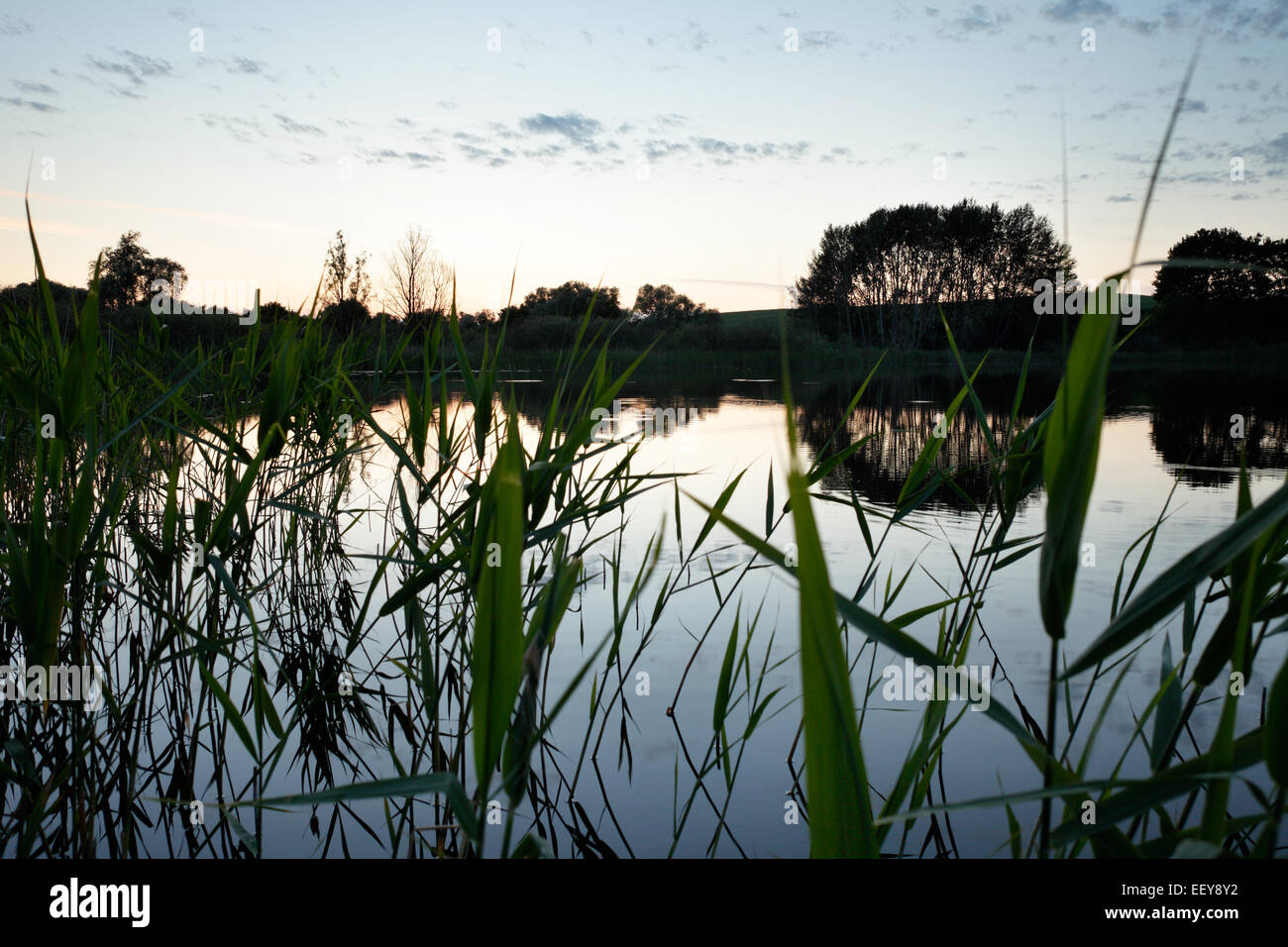 Trampe hi-res stock photography and images - Alamy