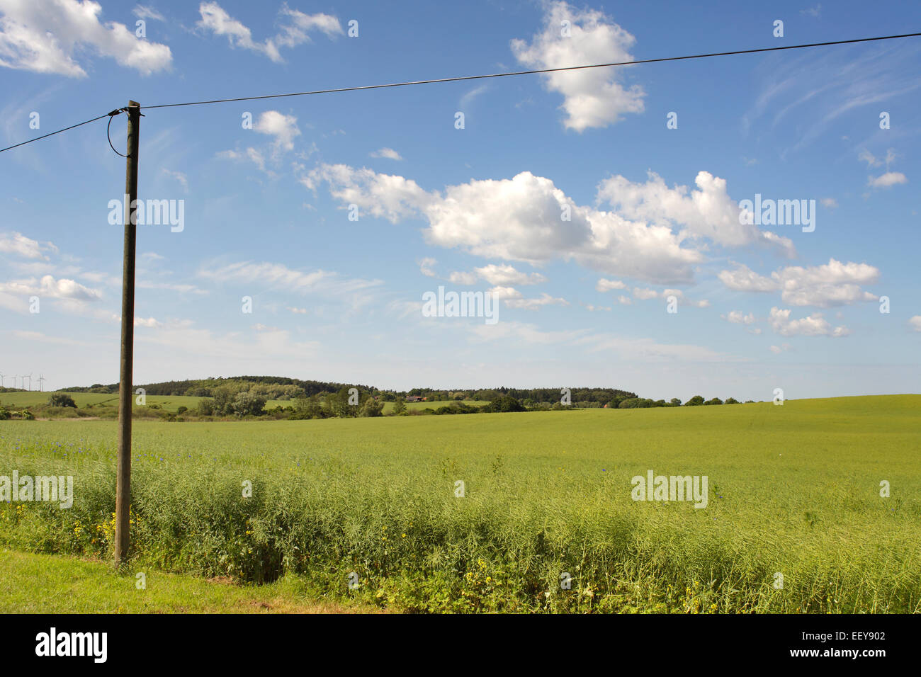 Catenary pole hi-res stock photography and images - Alamy