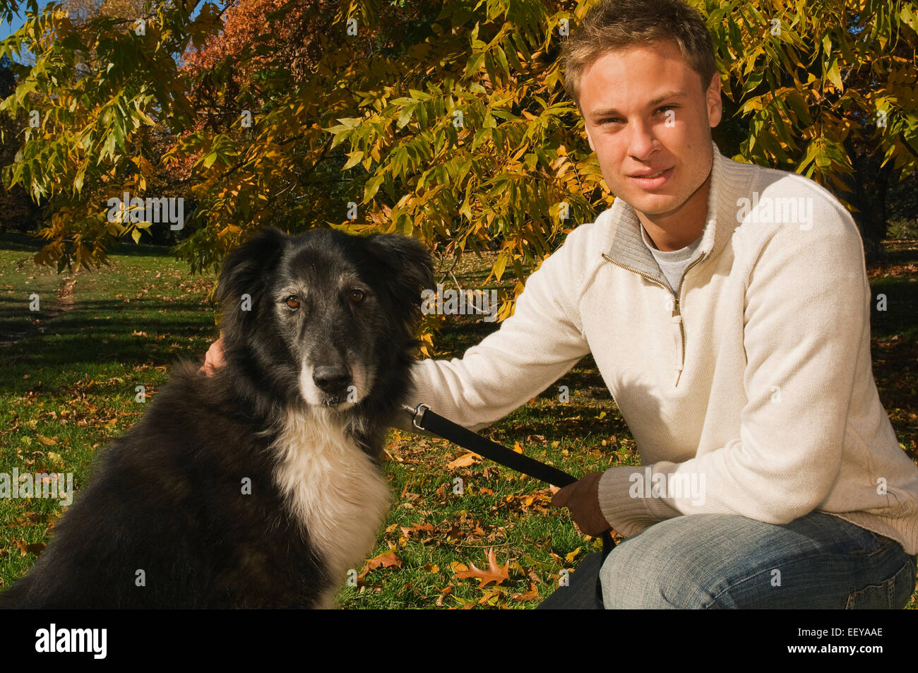 Young man in a park with a dog Stock Photo - Alamy