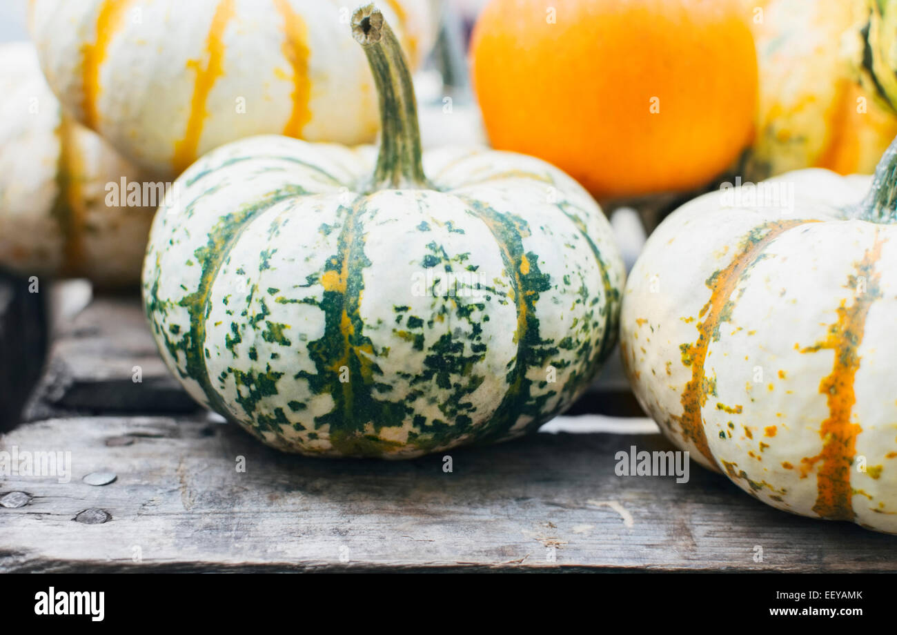 Background falling pumpkins hi-res stock photography and images - Alamy