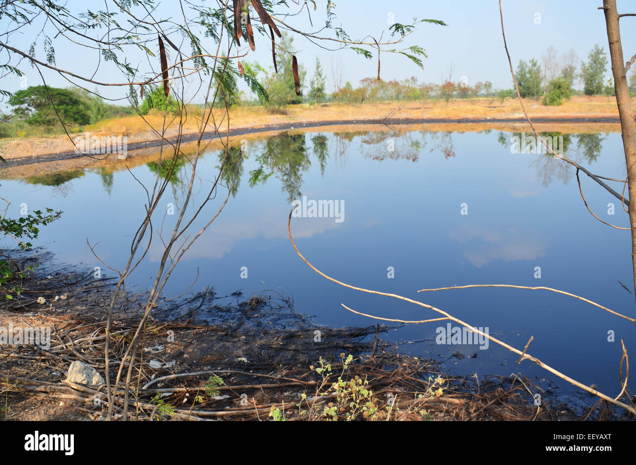 Oil spill effects hi-res stock photography and images - Alamy