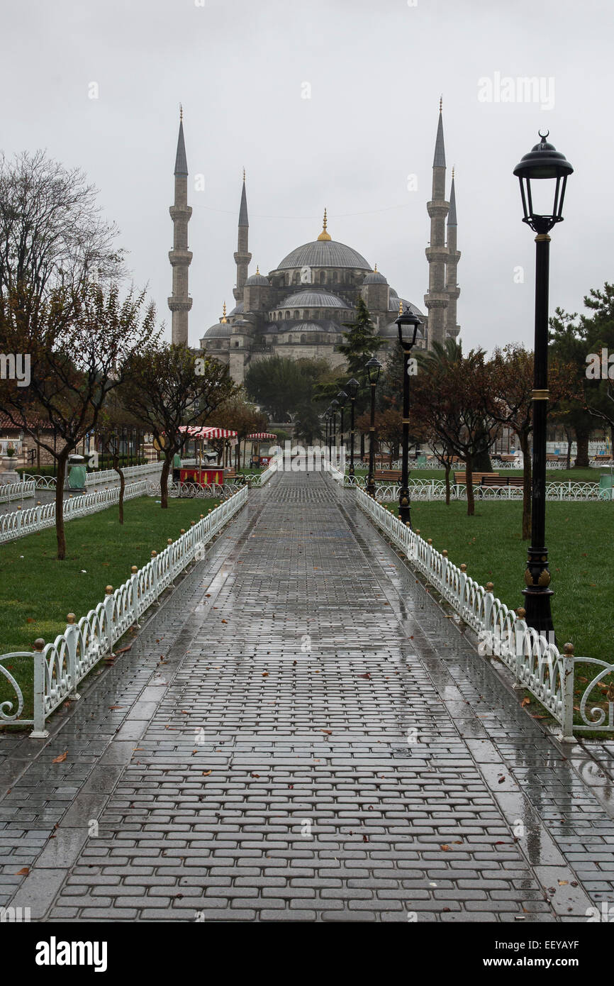 View of Blue Mosque in Istanbul Stock Photo - Alamy