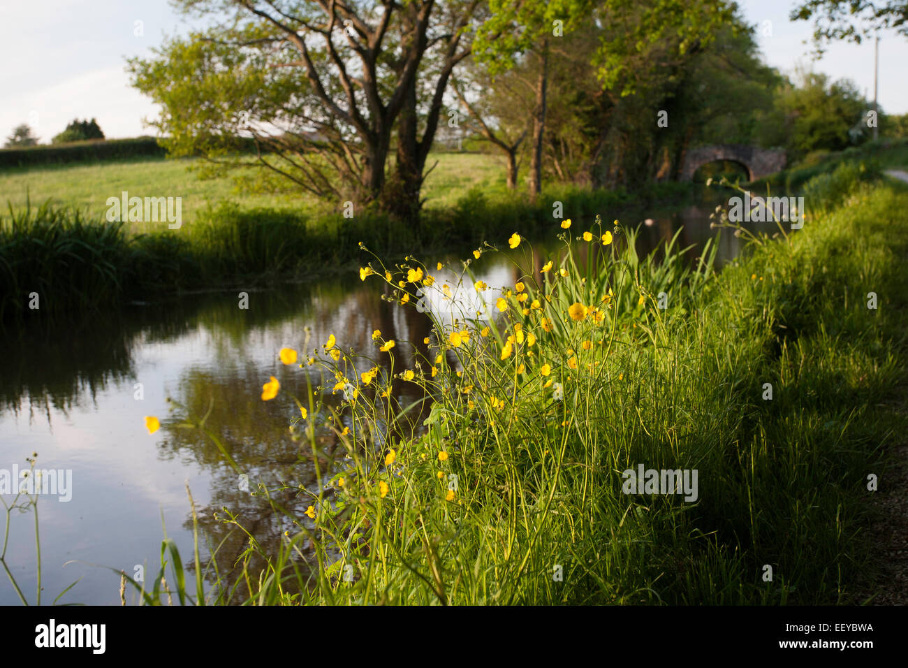 Breconshire canal hi-res stock photography and images - Alamy