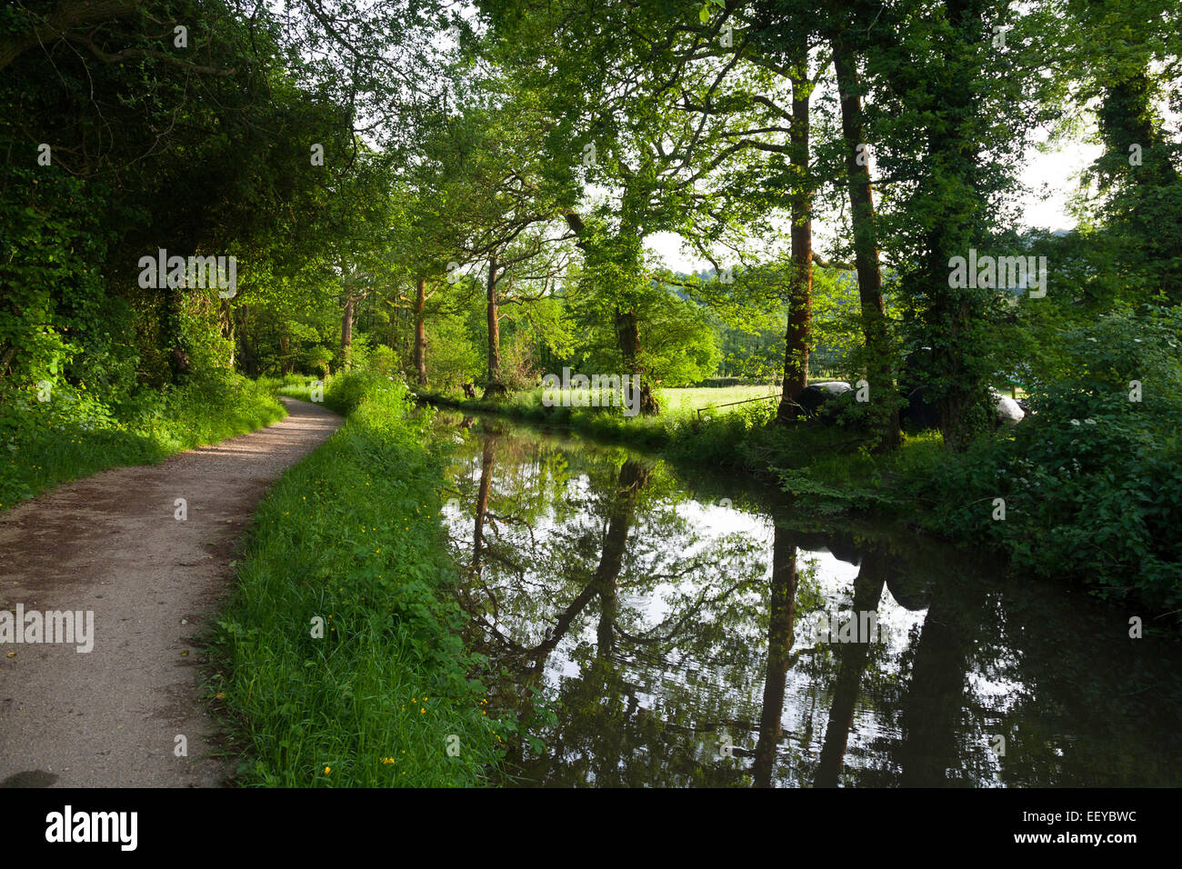 Breconshire hi-res stock photography and images - Alamy