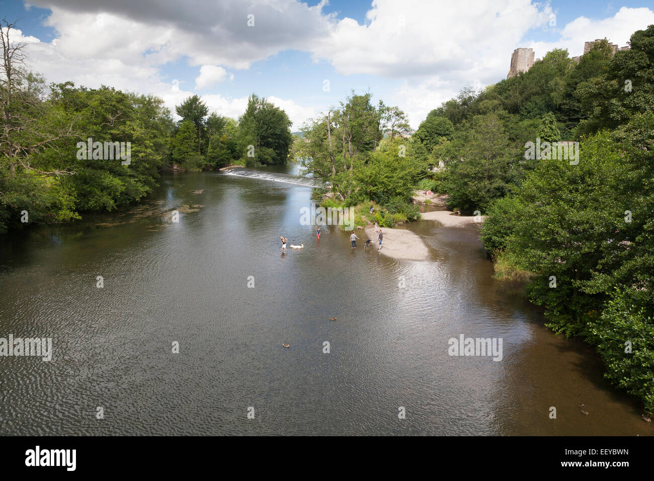 River Teme at Ludlow, Shropshire with Ludlow Castle Stock Photo - Alamy
