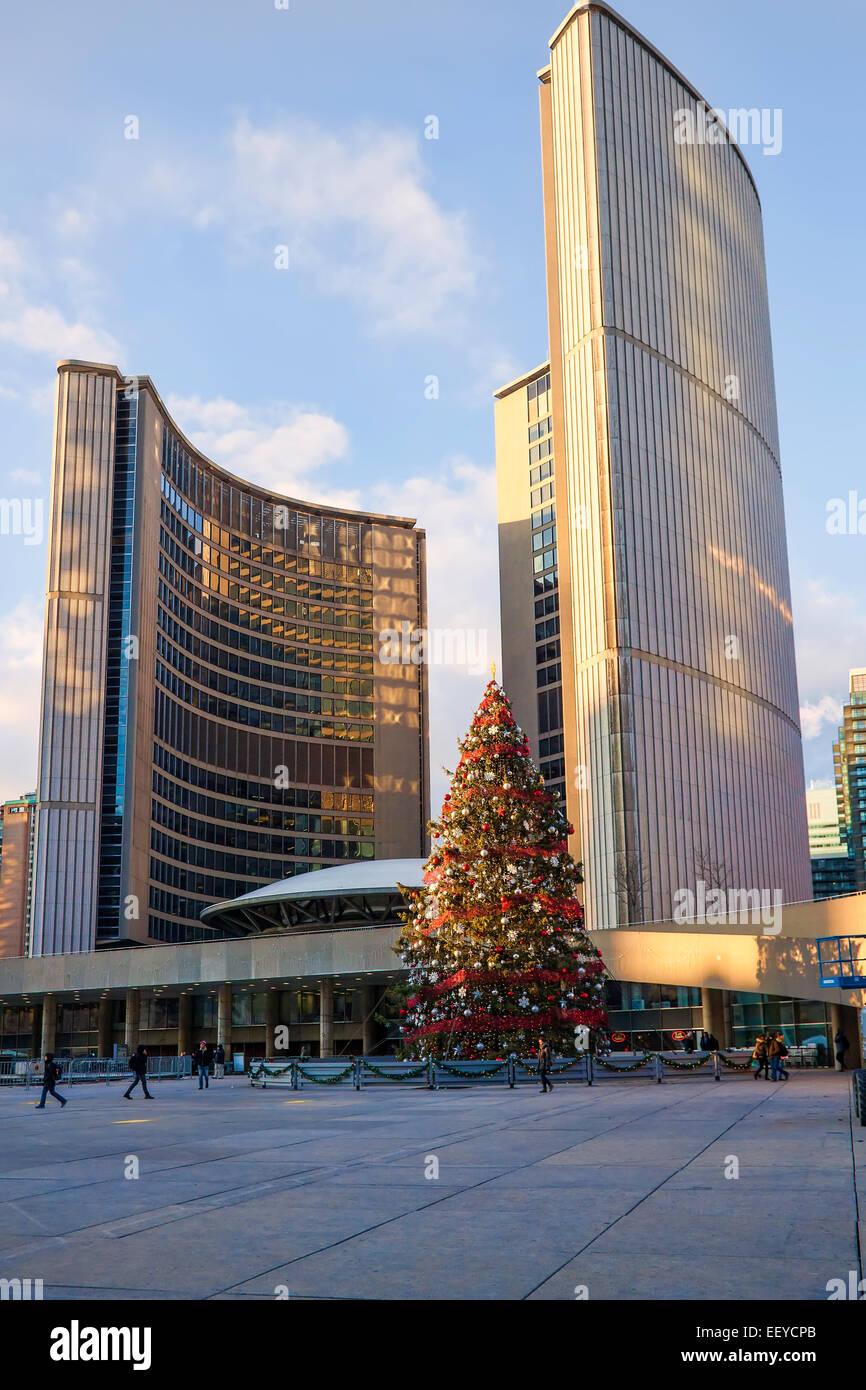 Christmas tree at Toronto City Hall at Christmas Time and scatting on ...