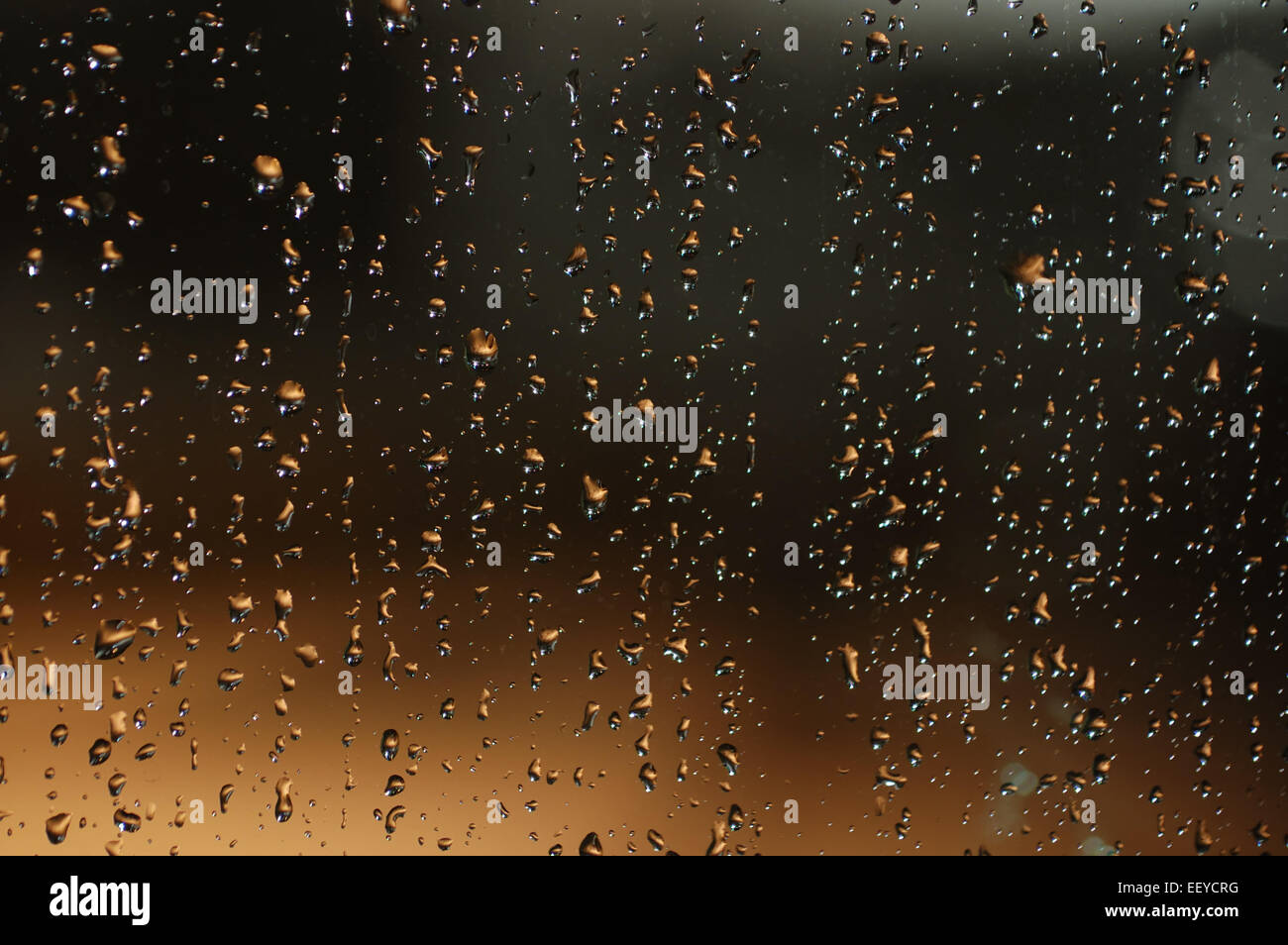 Golden drops on the glass Stock Photo - Alamy