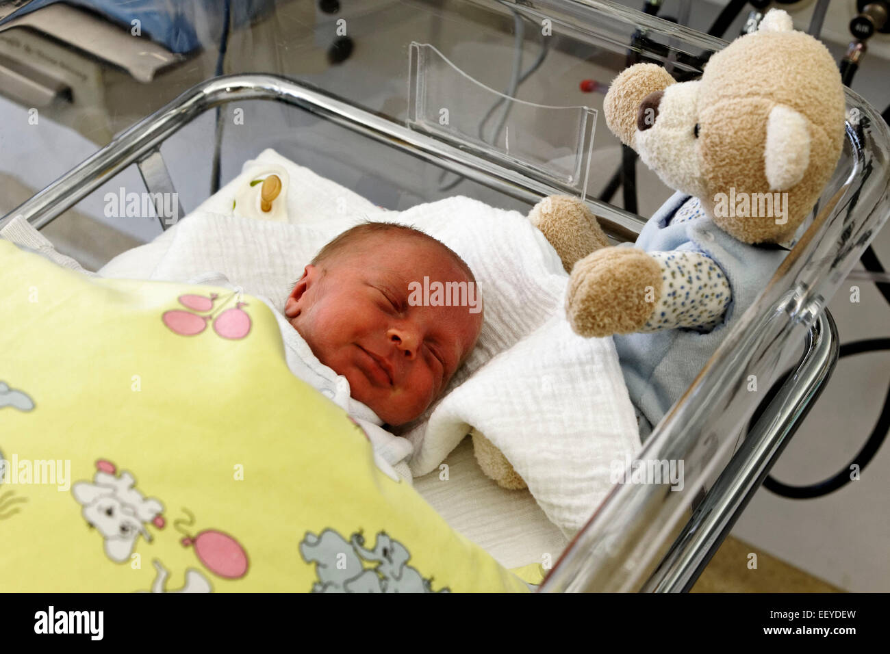 Nicu hi-res stock photography and images - Alamy