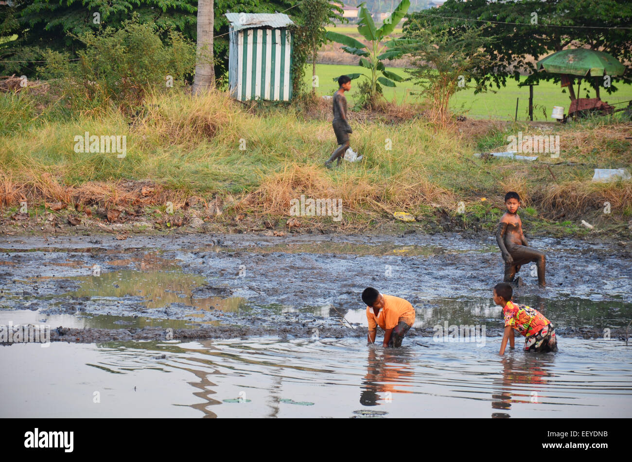 Children catch fish in mud hi-res stock photography and images - Alamy