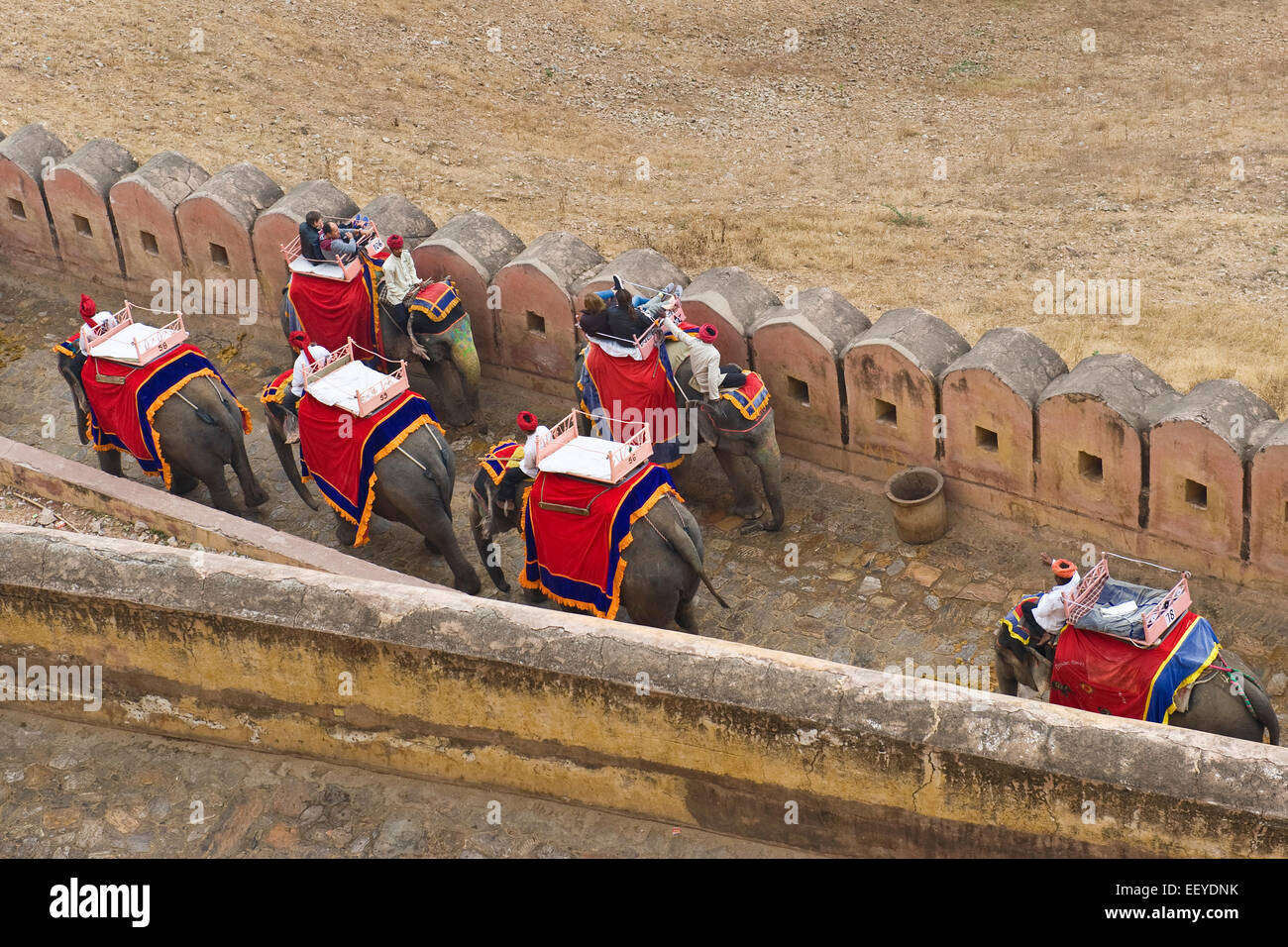 India, Rajasthan, Jaipur, Amber Place and Fort, elephants Stock Photo ...
