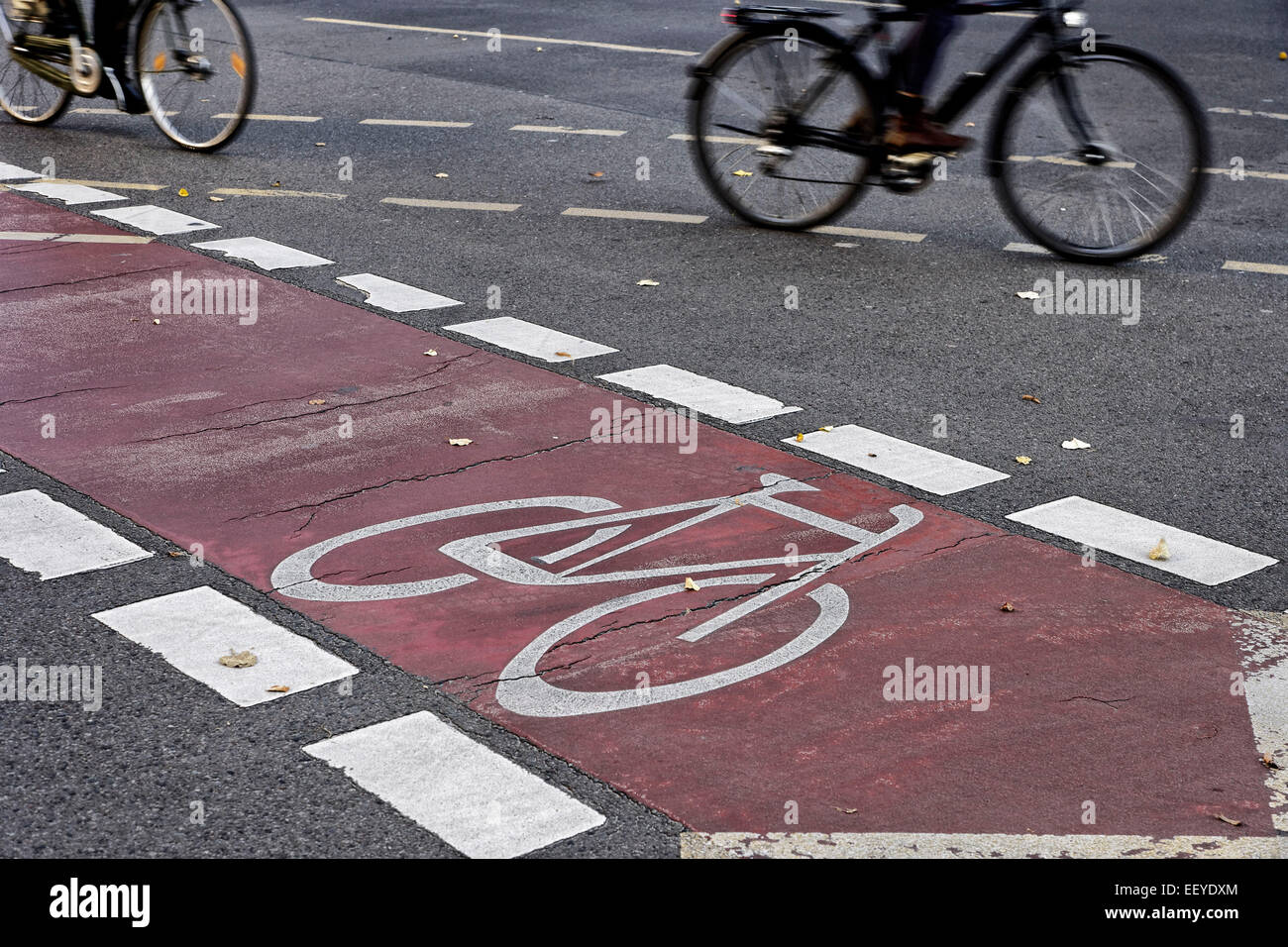 Biker + bike path Stock Photo - Alamy