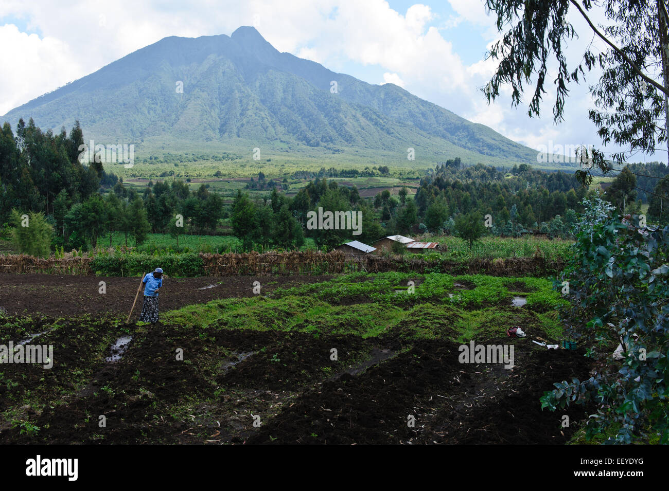 Virunga national park and volcano hi-res stock photography and images ...