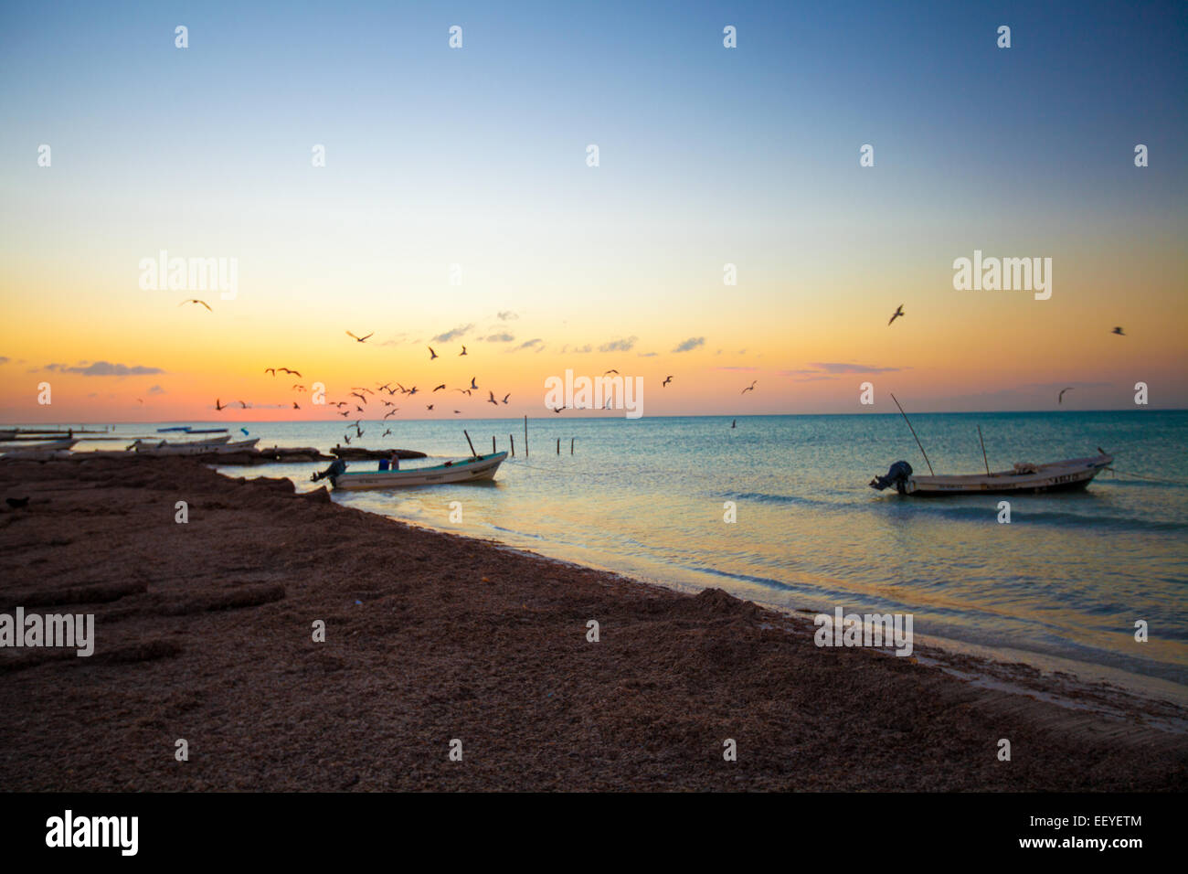 Tropical deserted perfect beach on exotic island Stock Photo - Alamy